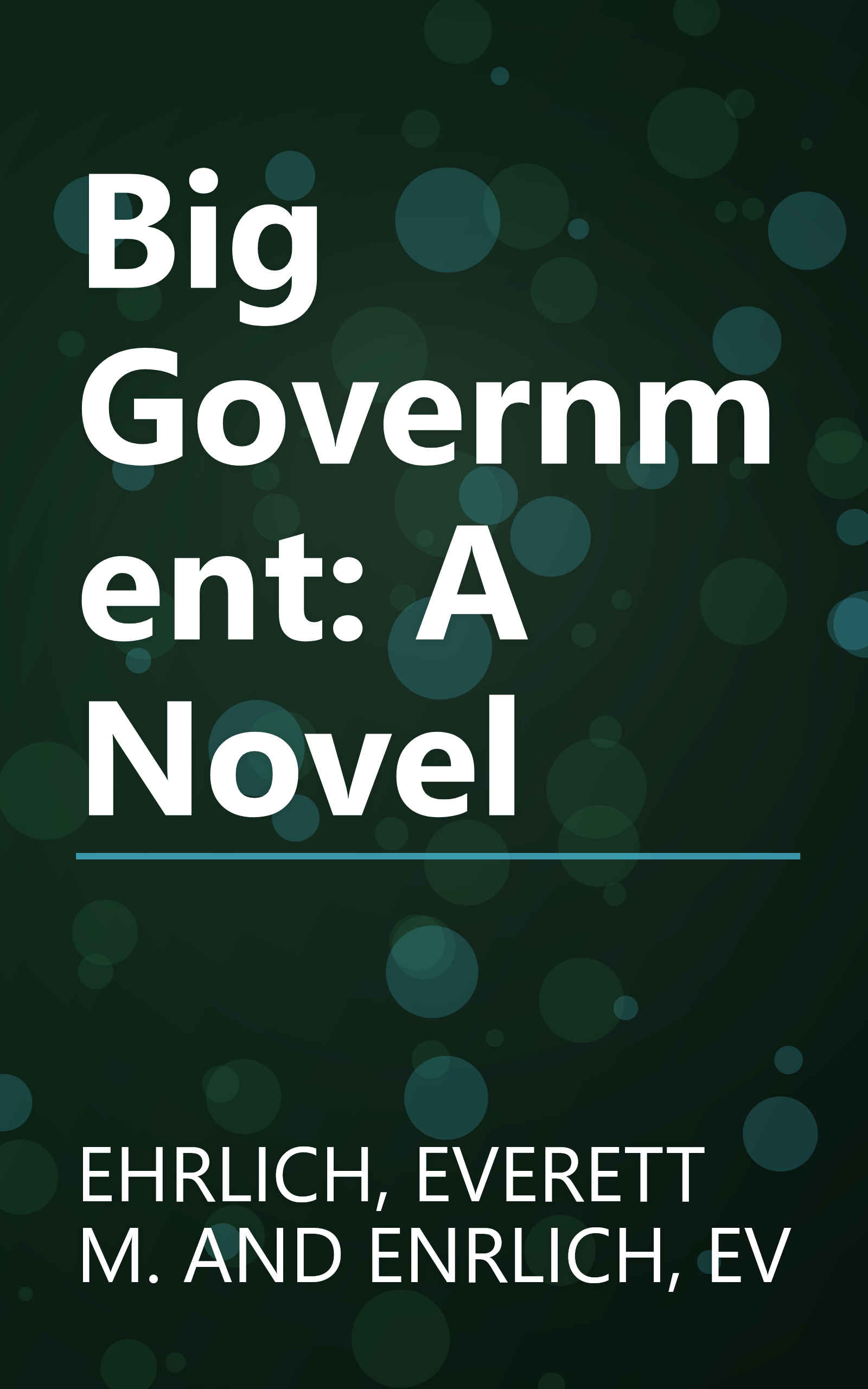 Big Government: A Novel book cover