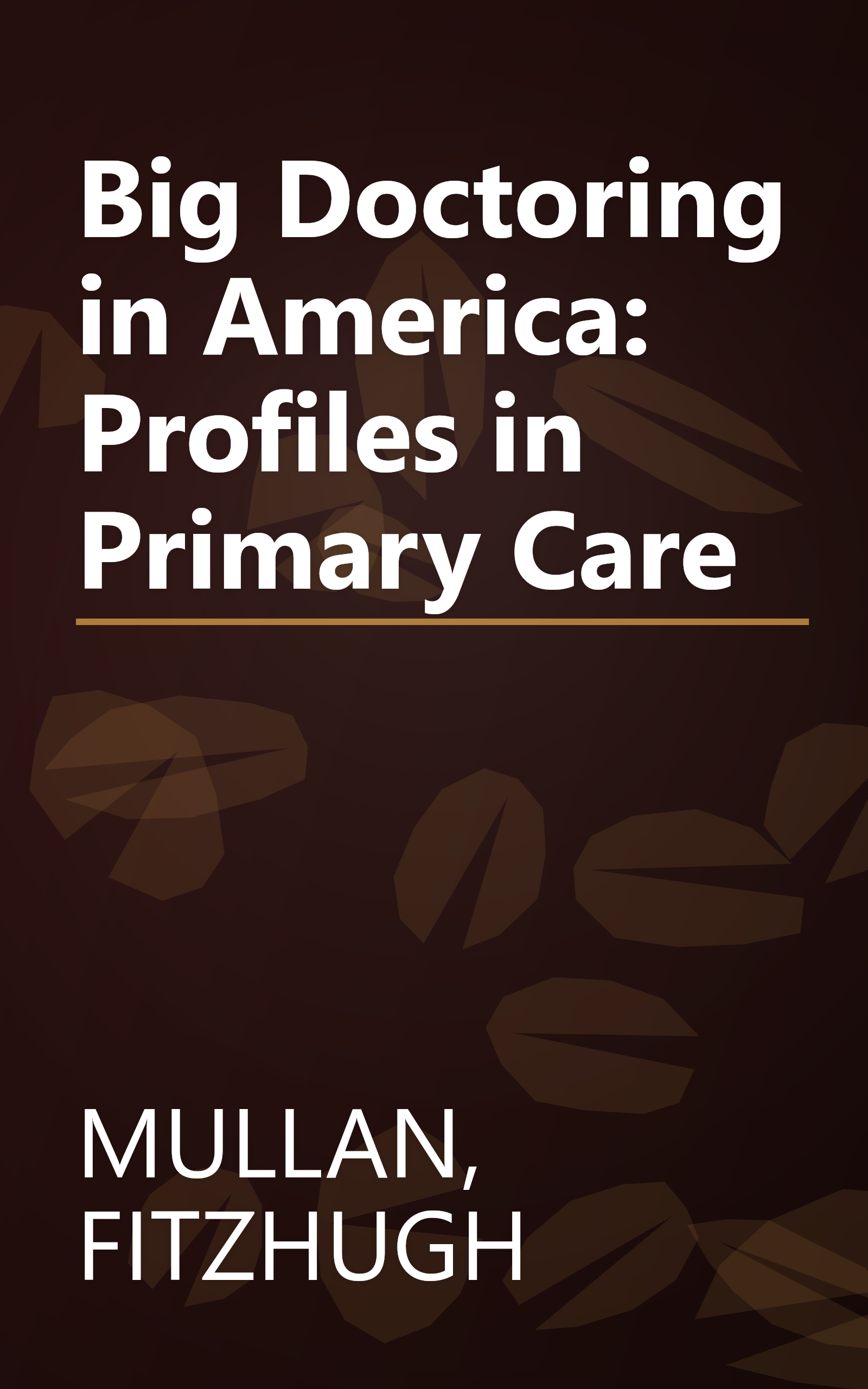 Big Doctoring in America: Profiles in Primary Care book cover