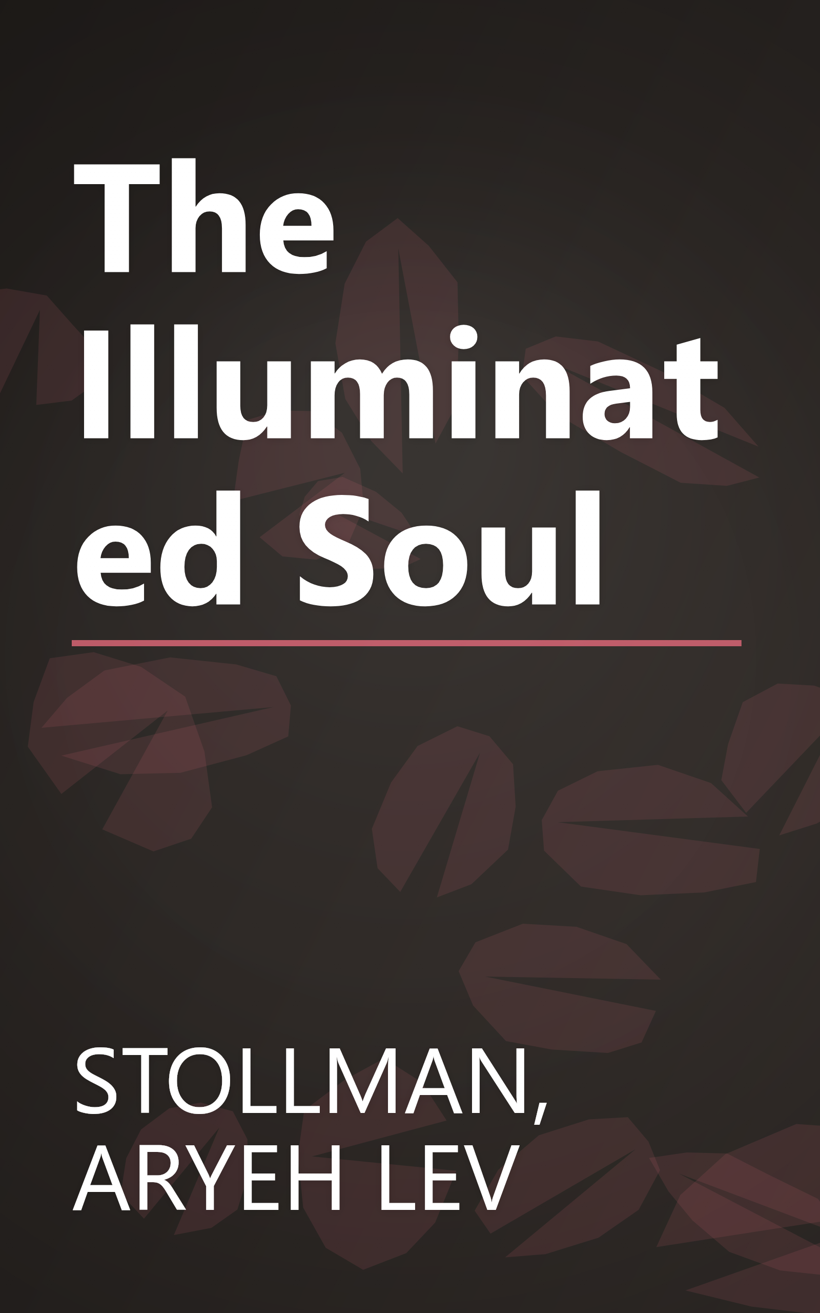 The Illuminated Soul book cover