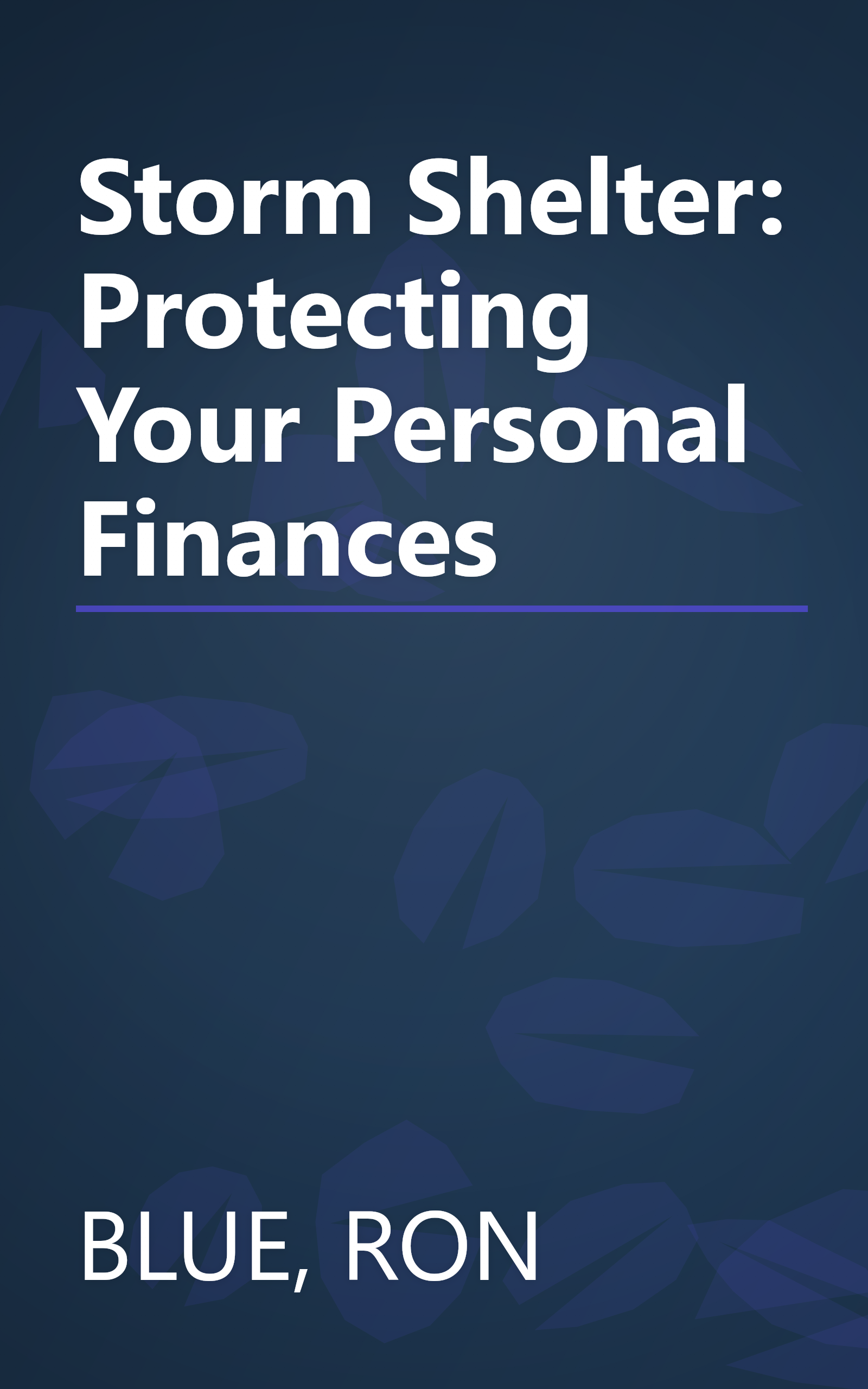 Storm Shelter: Protecting Your Personal Finances book cover