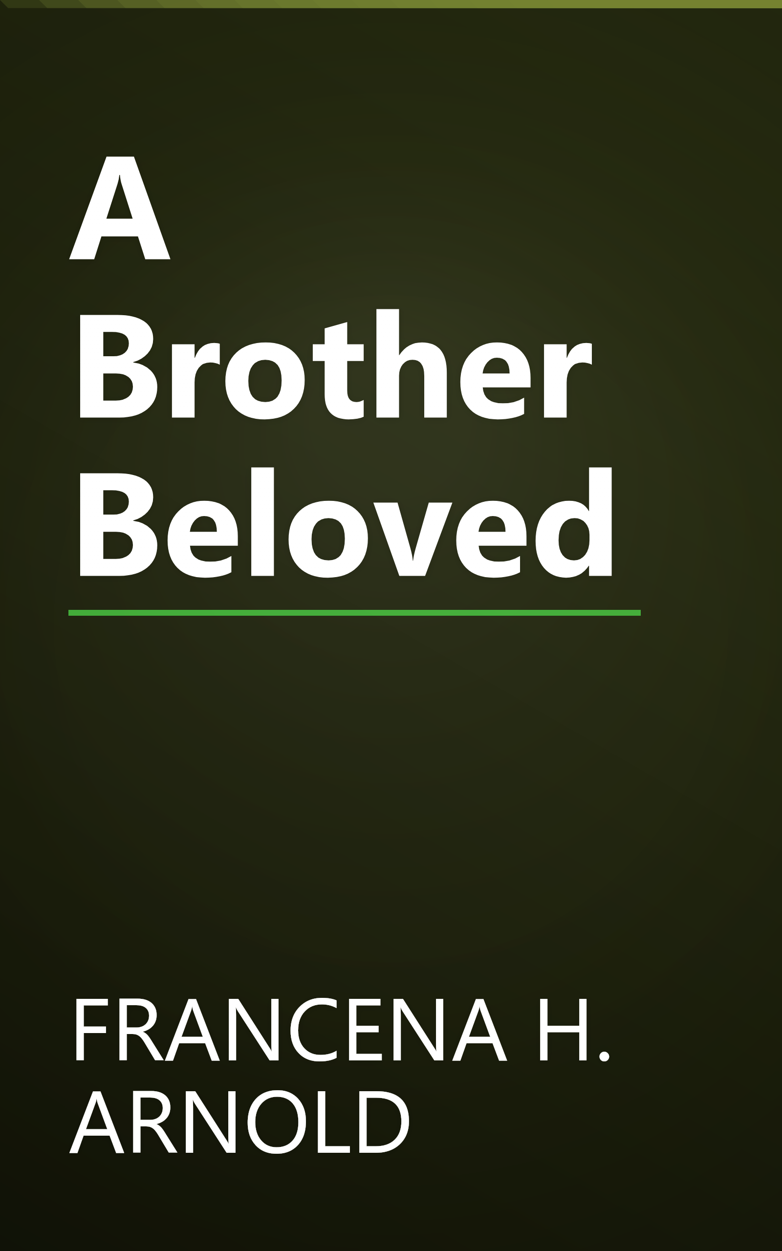 A Brother Beloved book cover