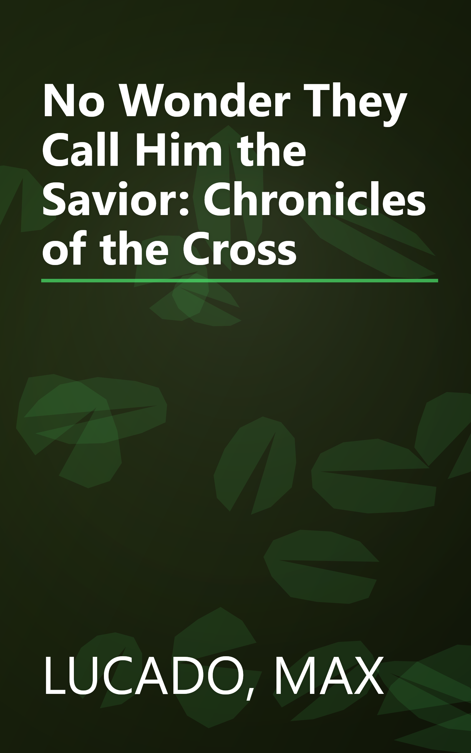 No Wonder They Call Him the Savior: Chronicles of the Cross book cover
