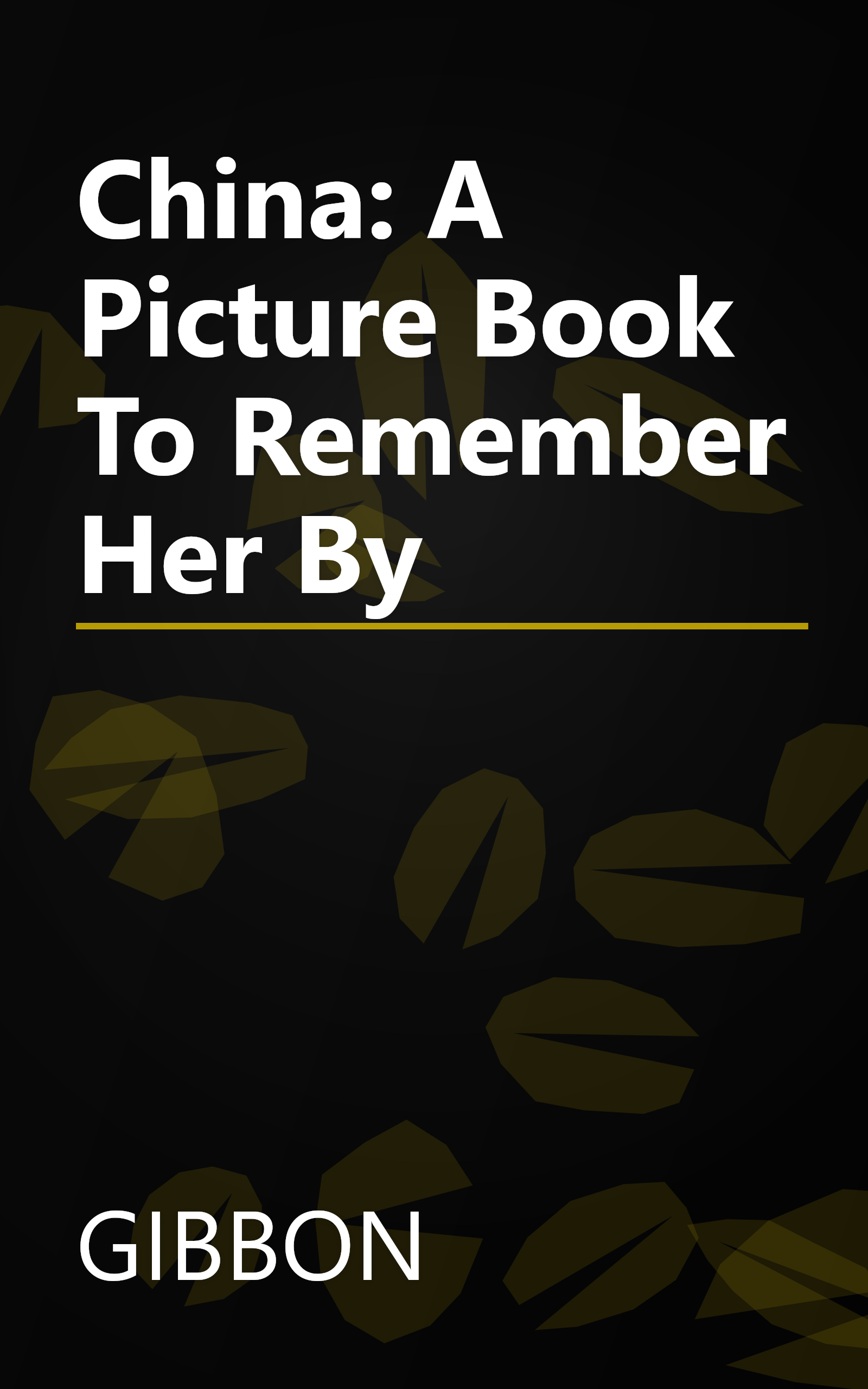 China: A Picture Book To Remember Her By book cover