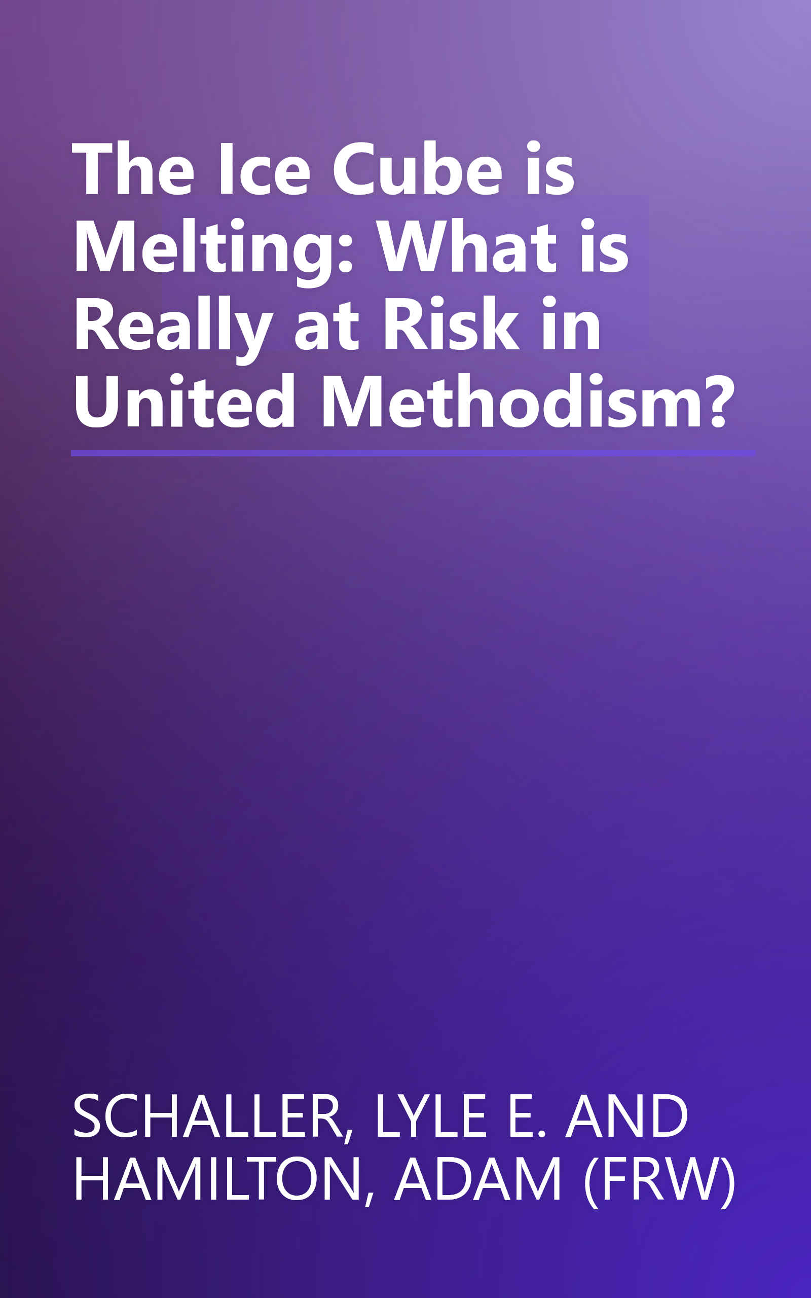 The Ice Cube is Melting: What is Really at Risk in United Methodism? book cover