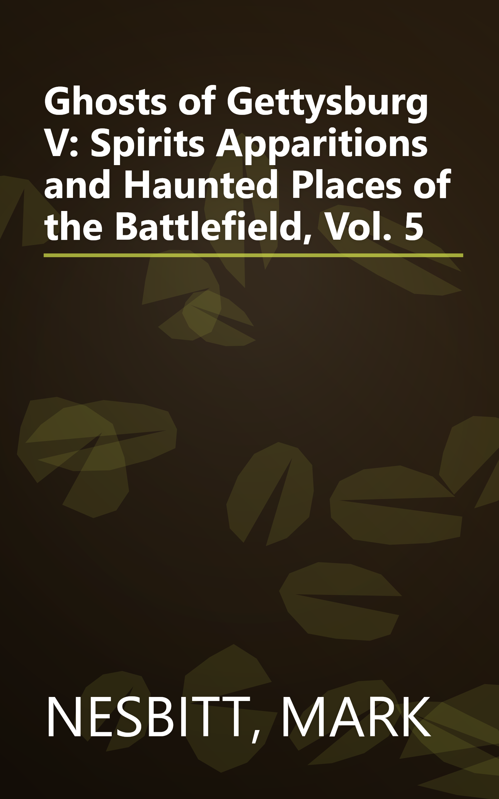 Ghosts of Gettysburg V: Spirits Apparitions and Haunted Places of the Battlefield, Vol. 5 book cover