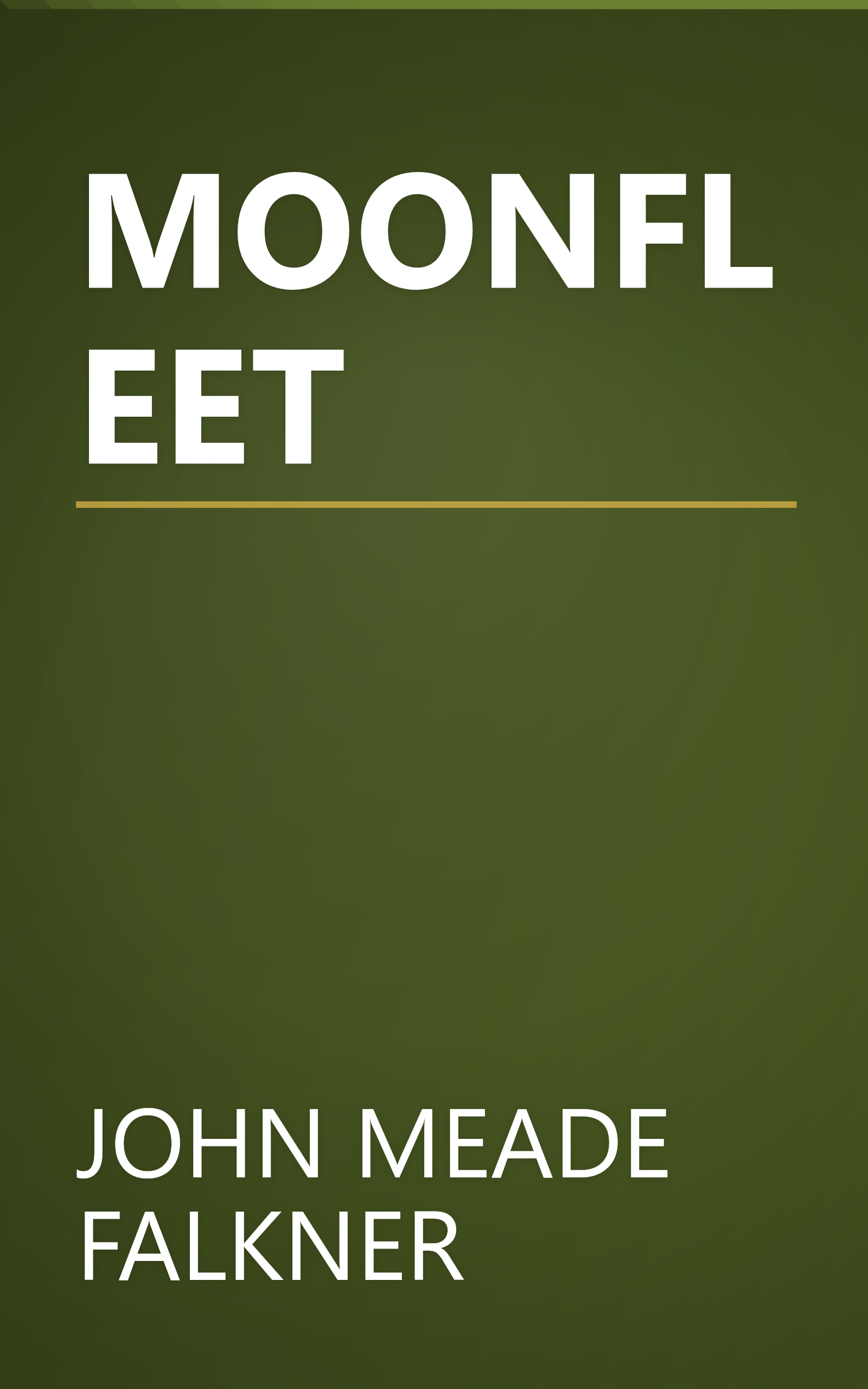 MOONFLEET book cover