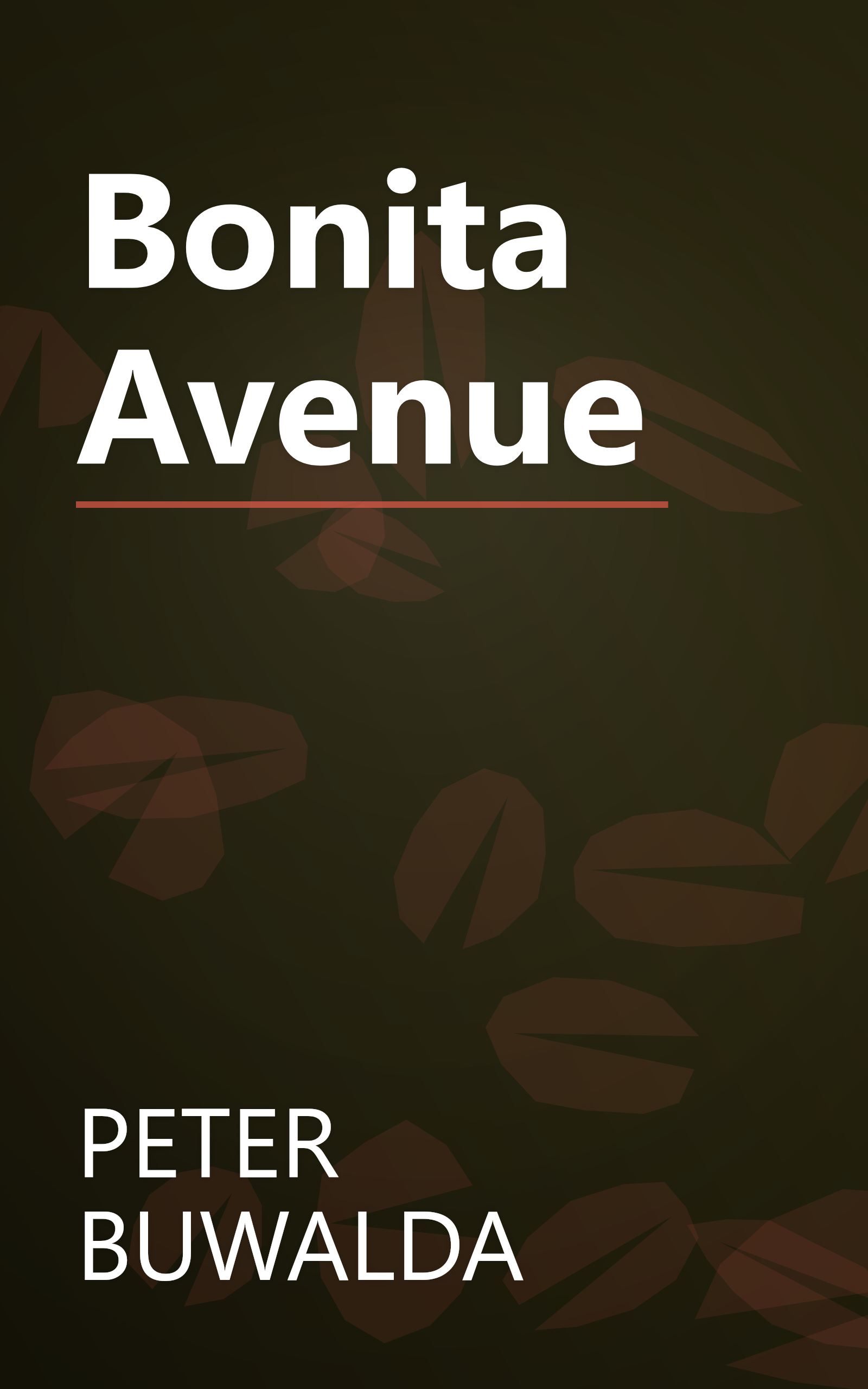 Bonita Avenue book cover