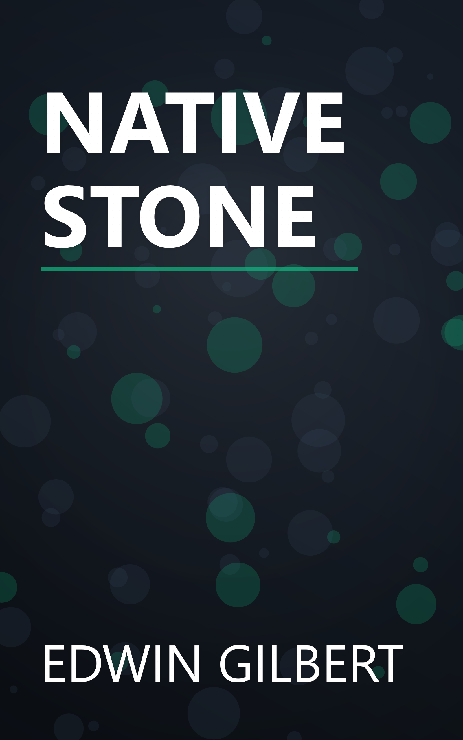 NATIVE STONE book cover