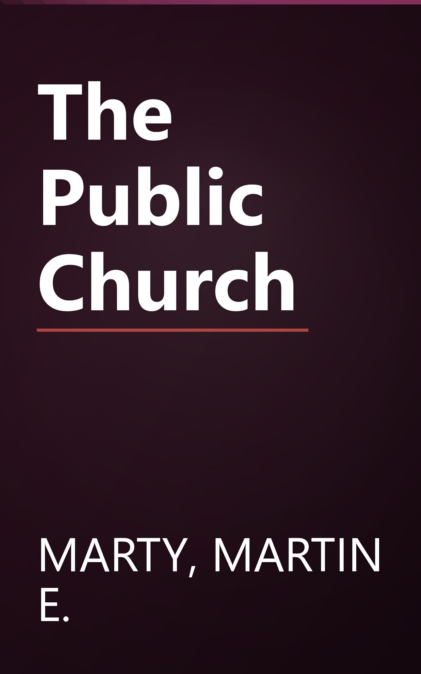 The Public Church book cover