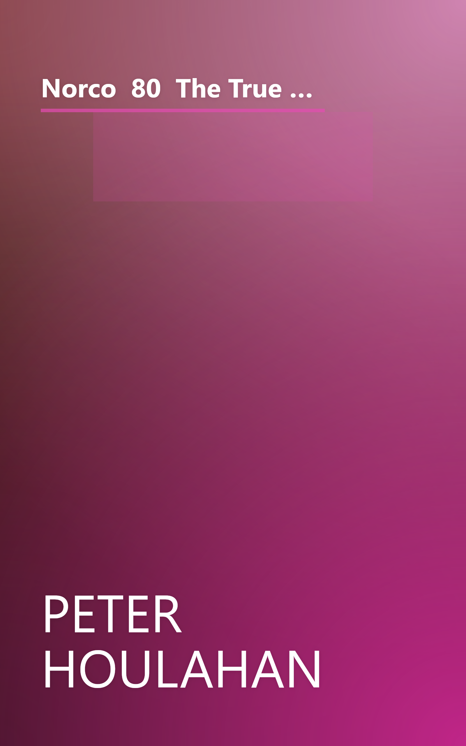 Norco  80  The True Story Of The Most Spectacular Bank Robbery In American History (10 Minute   Deep Dive Summary) book cover