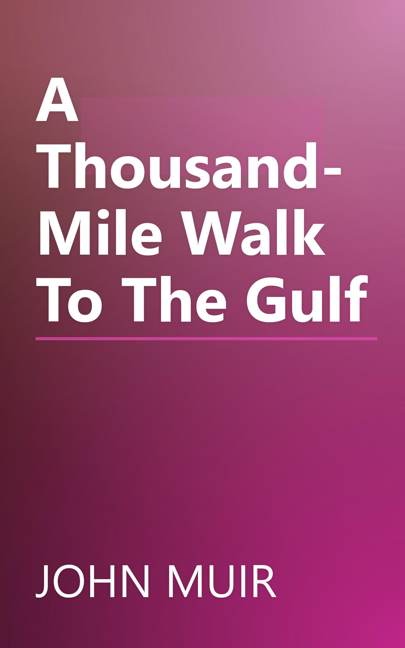 A Thousand-Mile Walk To The Gulf book cover