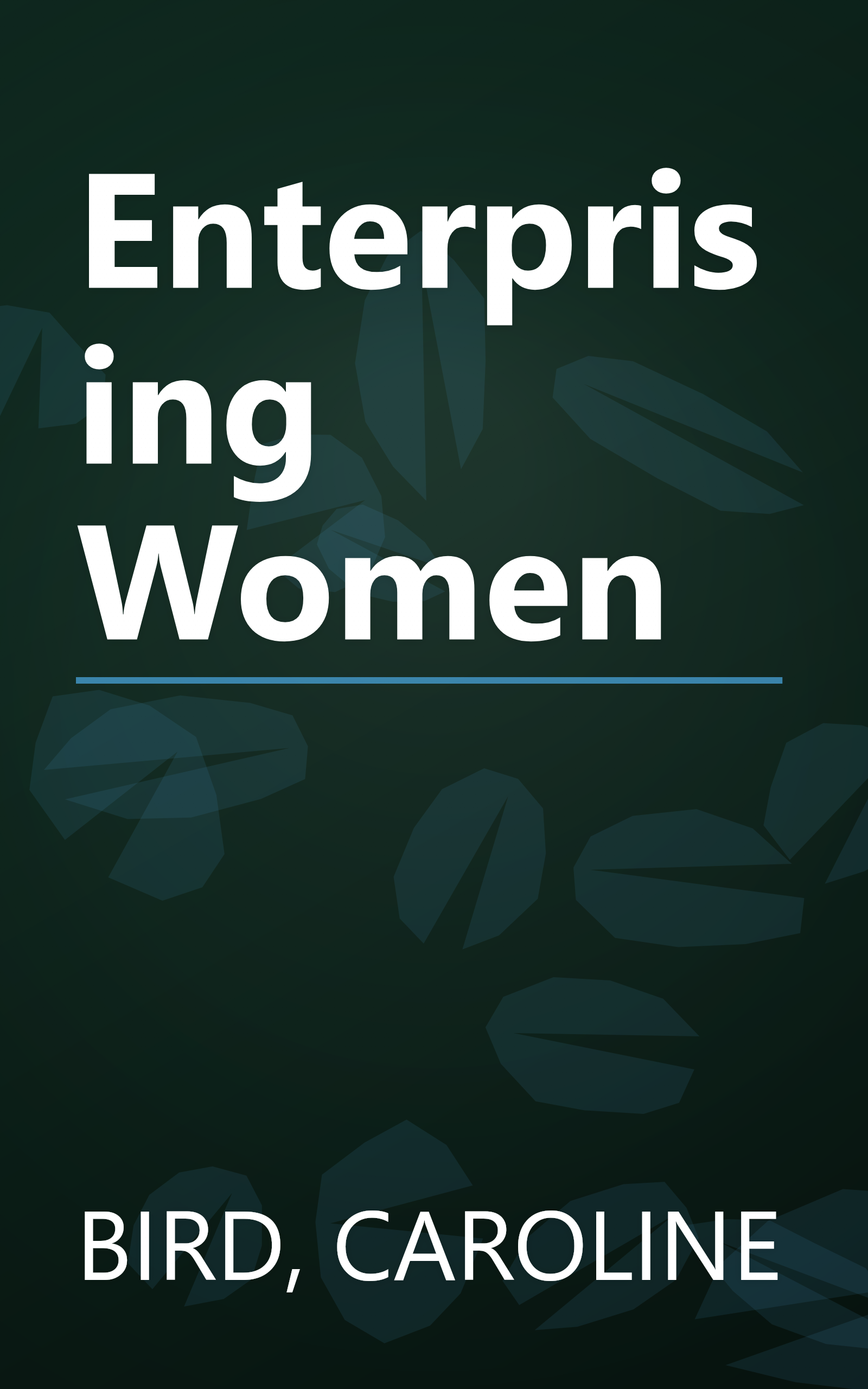 Enterprising Women book cover