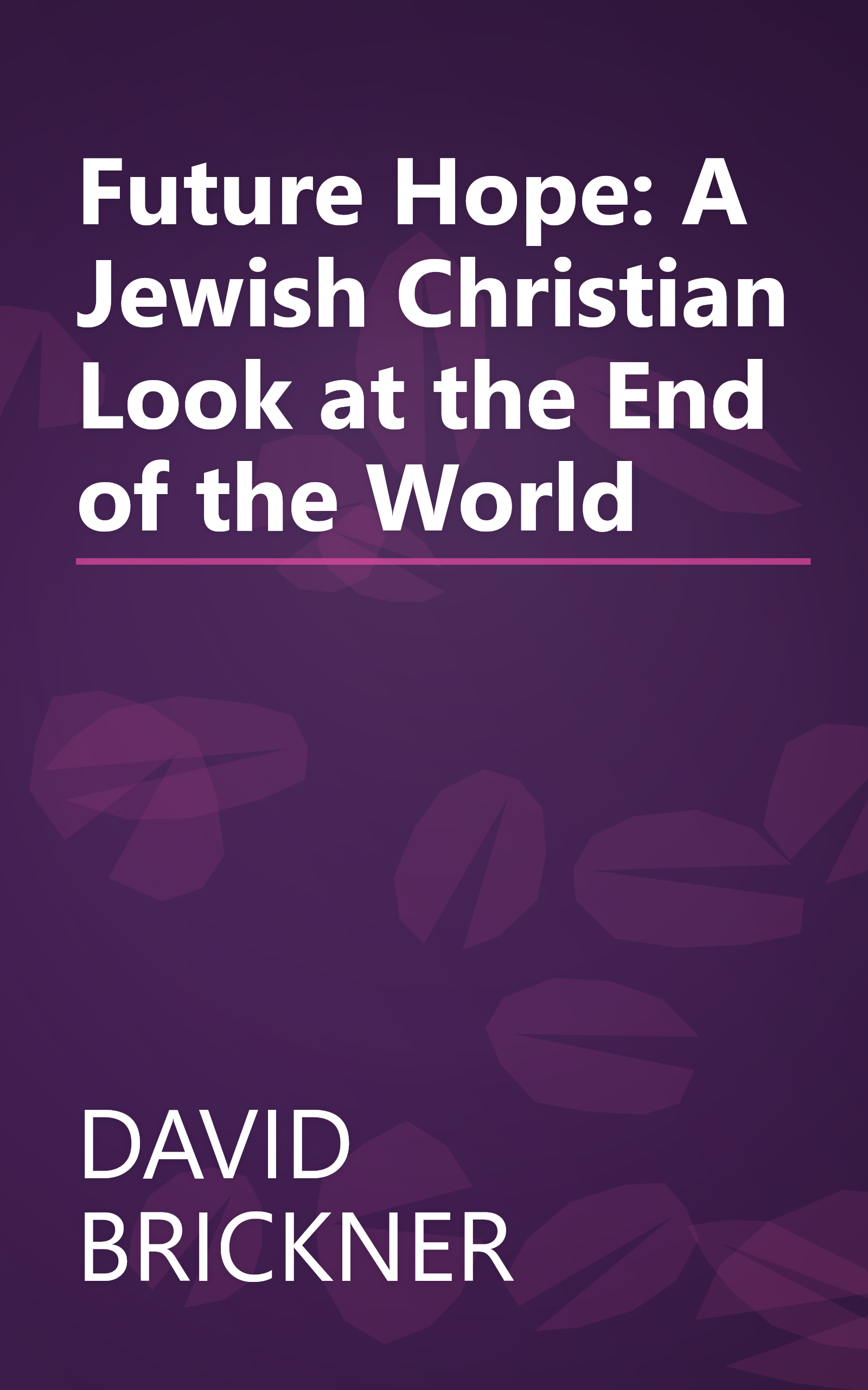 Future Hope: A Jewish Christian Look at the End of the World book cover