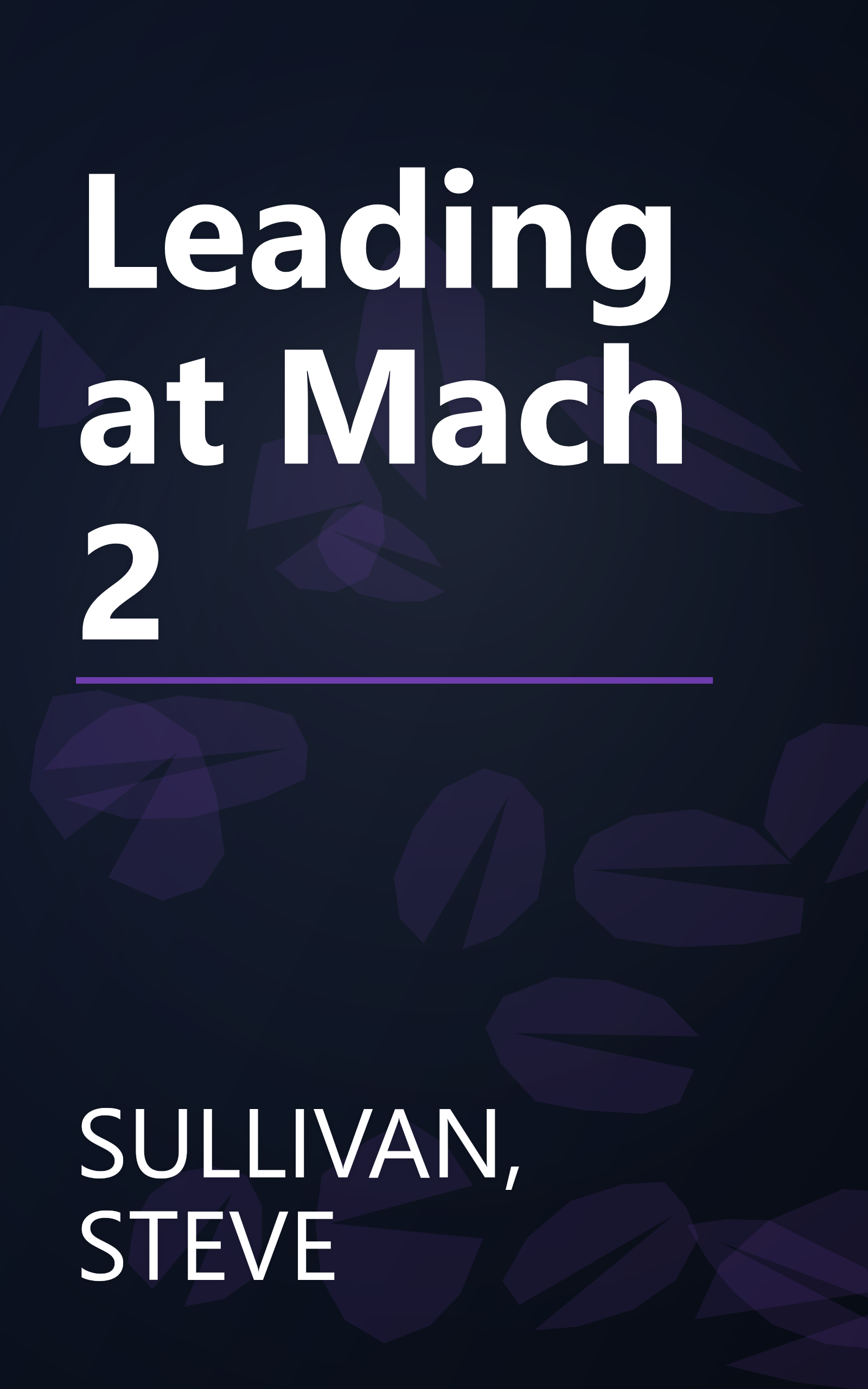 Leading at Mach 2 book cover