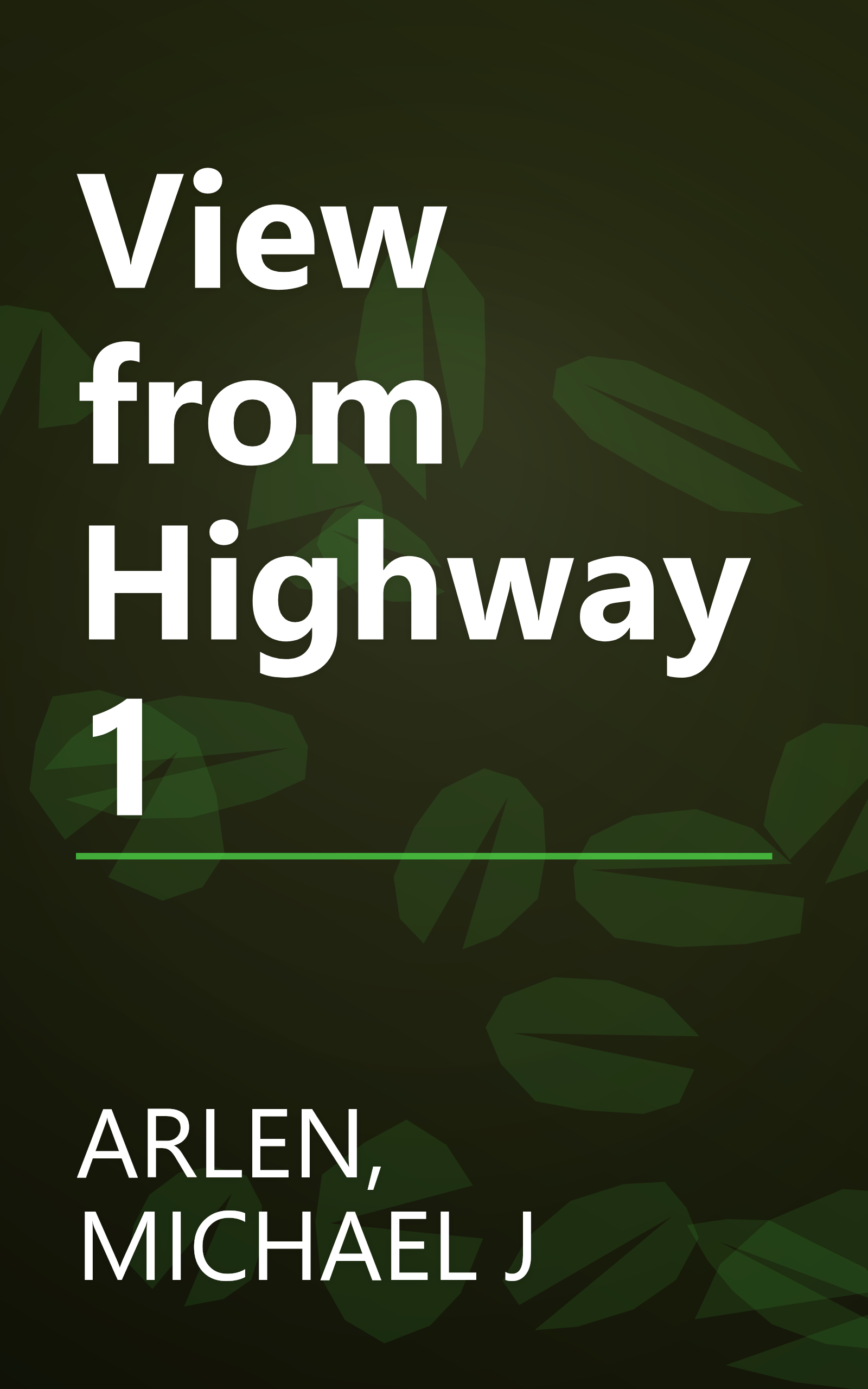 View from Highway 1 book cover