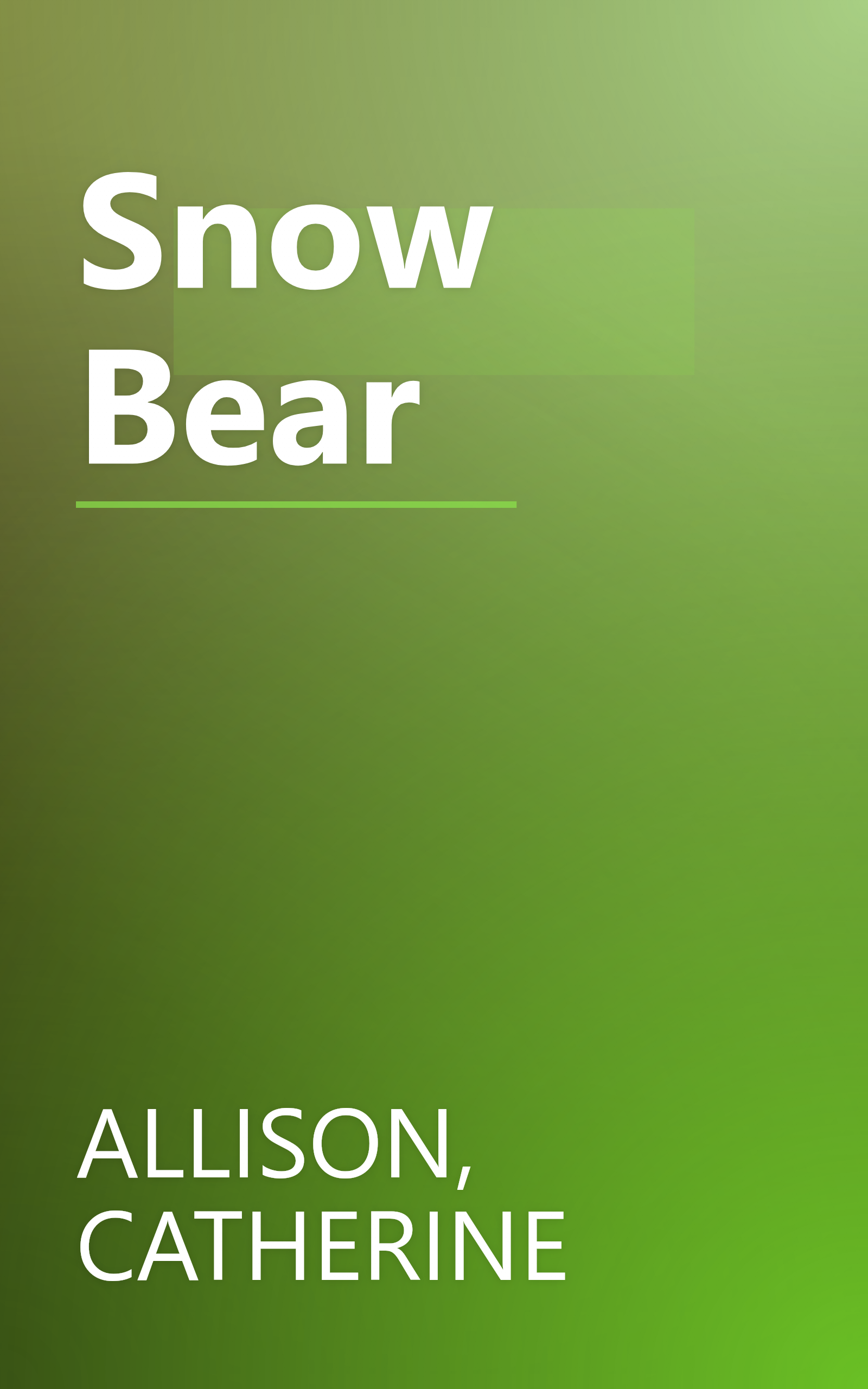 Snow Bear book cover