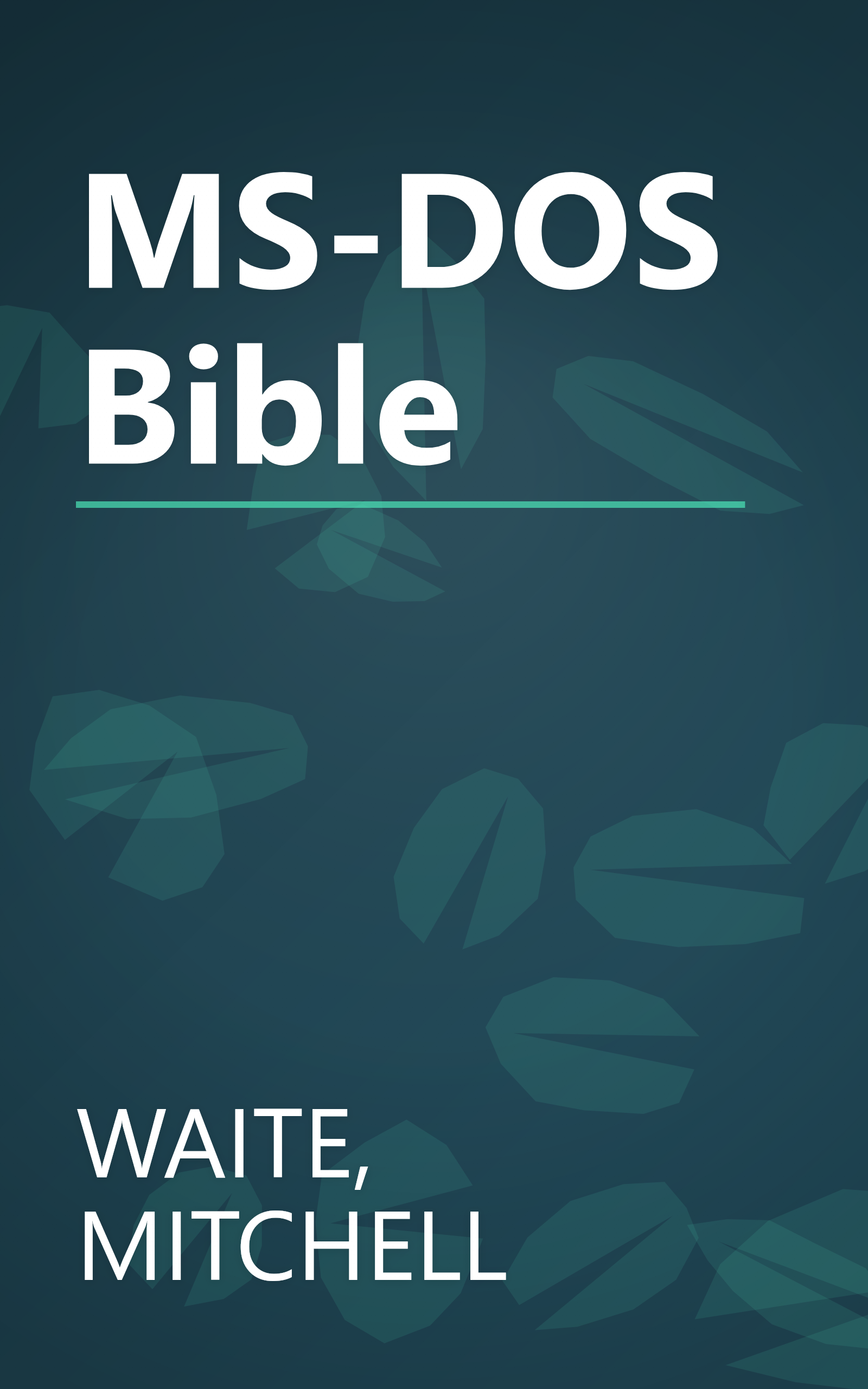 MS-DOS Bible book cover