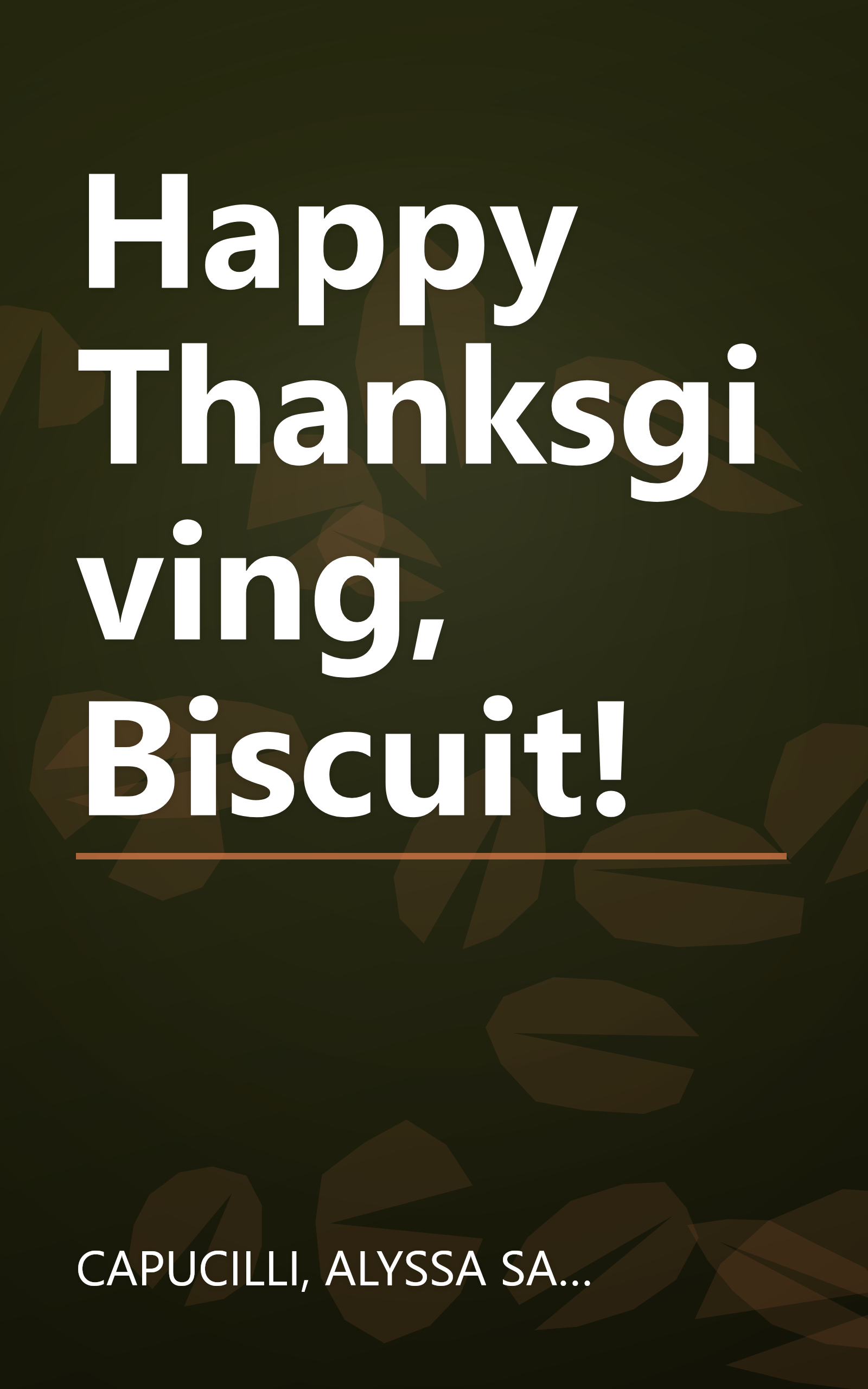 Happy Thanksgiving, Biscuit! book cover