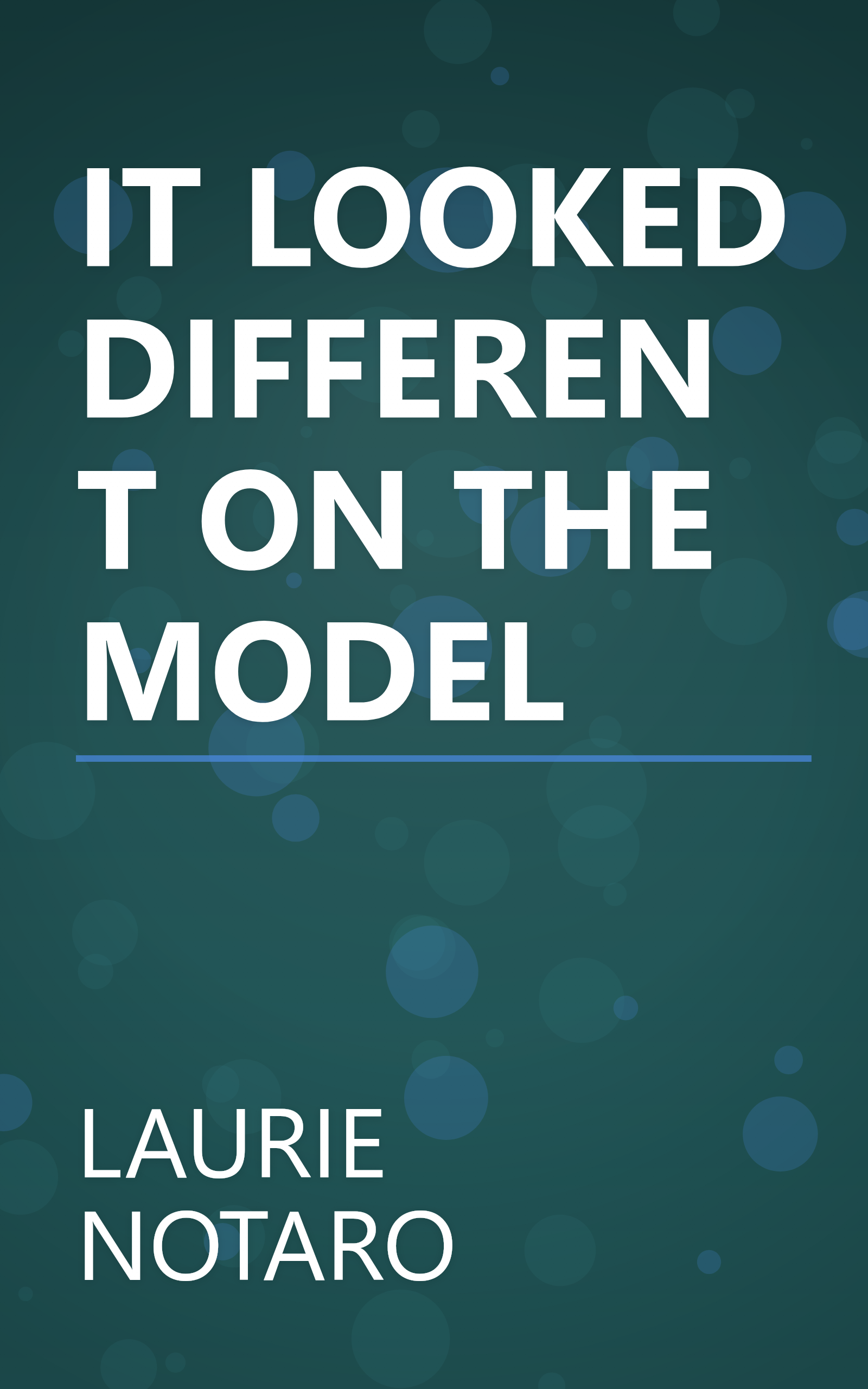 IT LOOKED DIFFERENT ON THE MODEL book cover