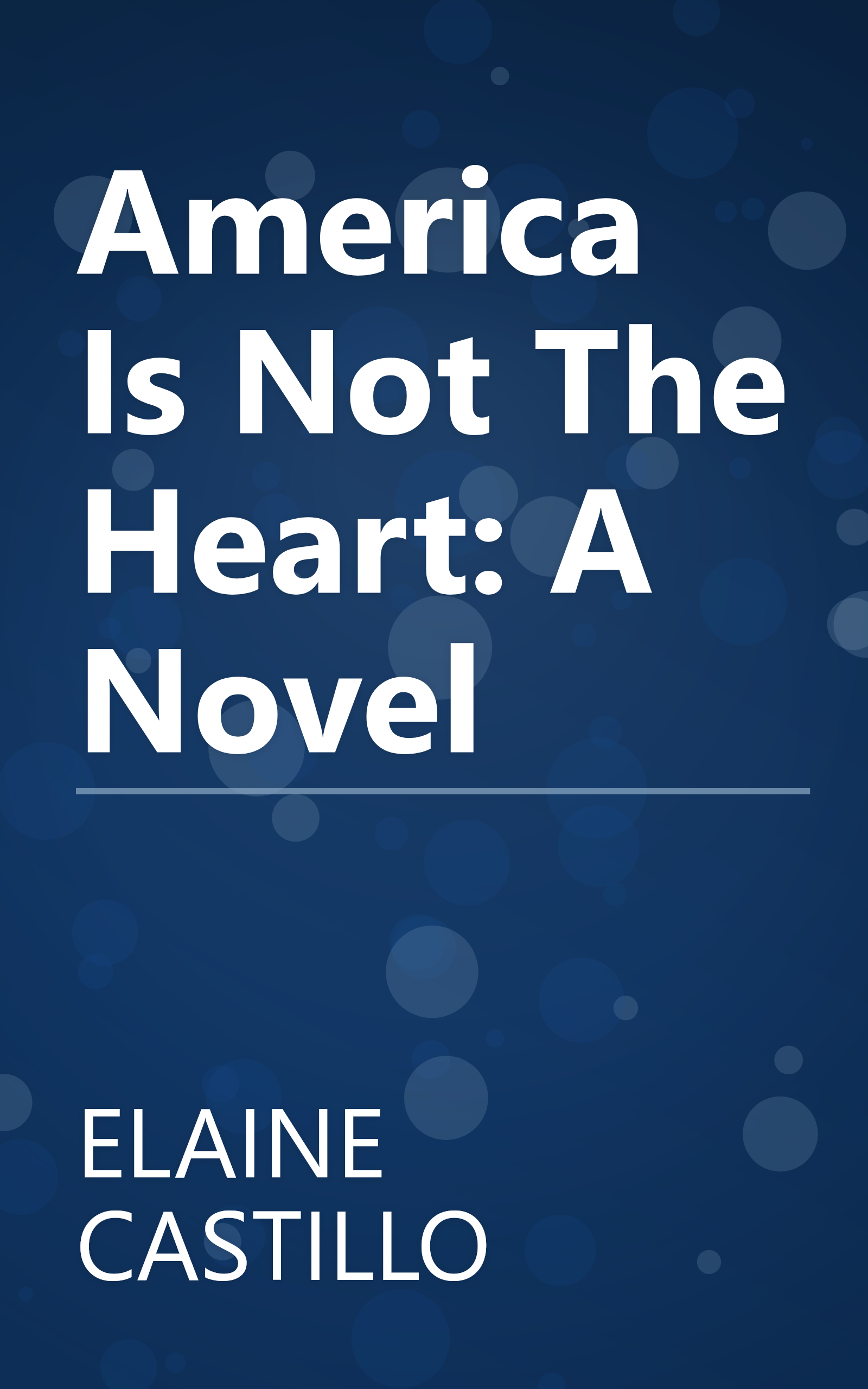 America Is Not The Heart: A Novel book cover