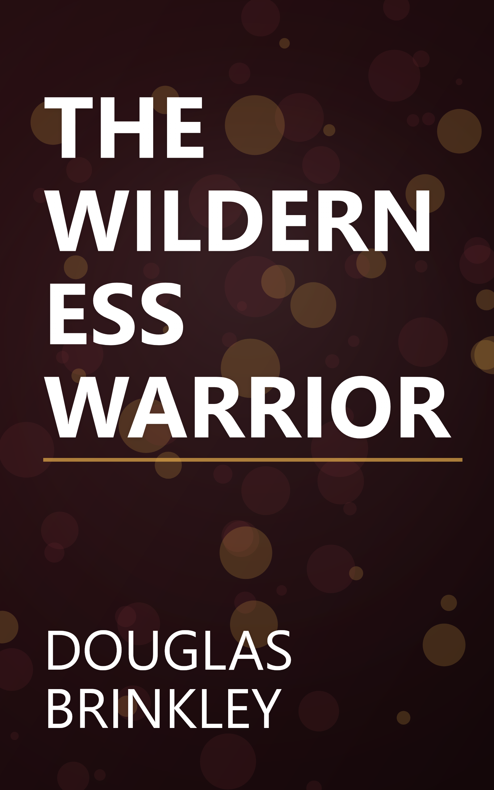 THE WILDERNESS WARRIOR book cover