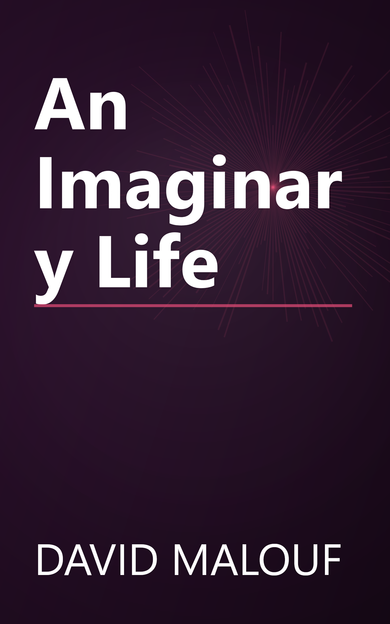 An Imaginary Life book cover