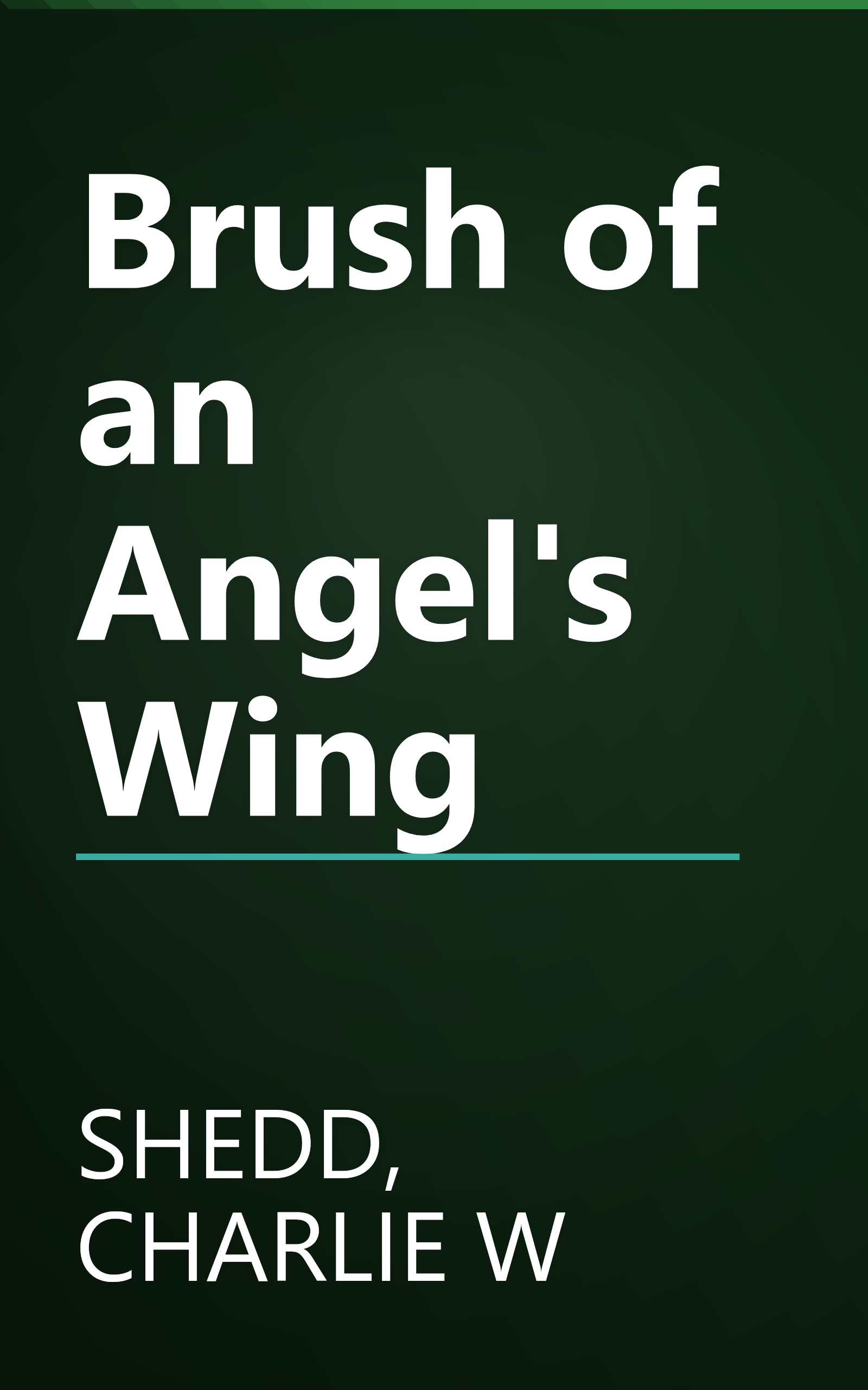 Brush of an Angel's Wing book cover