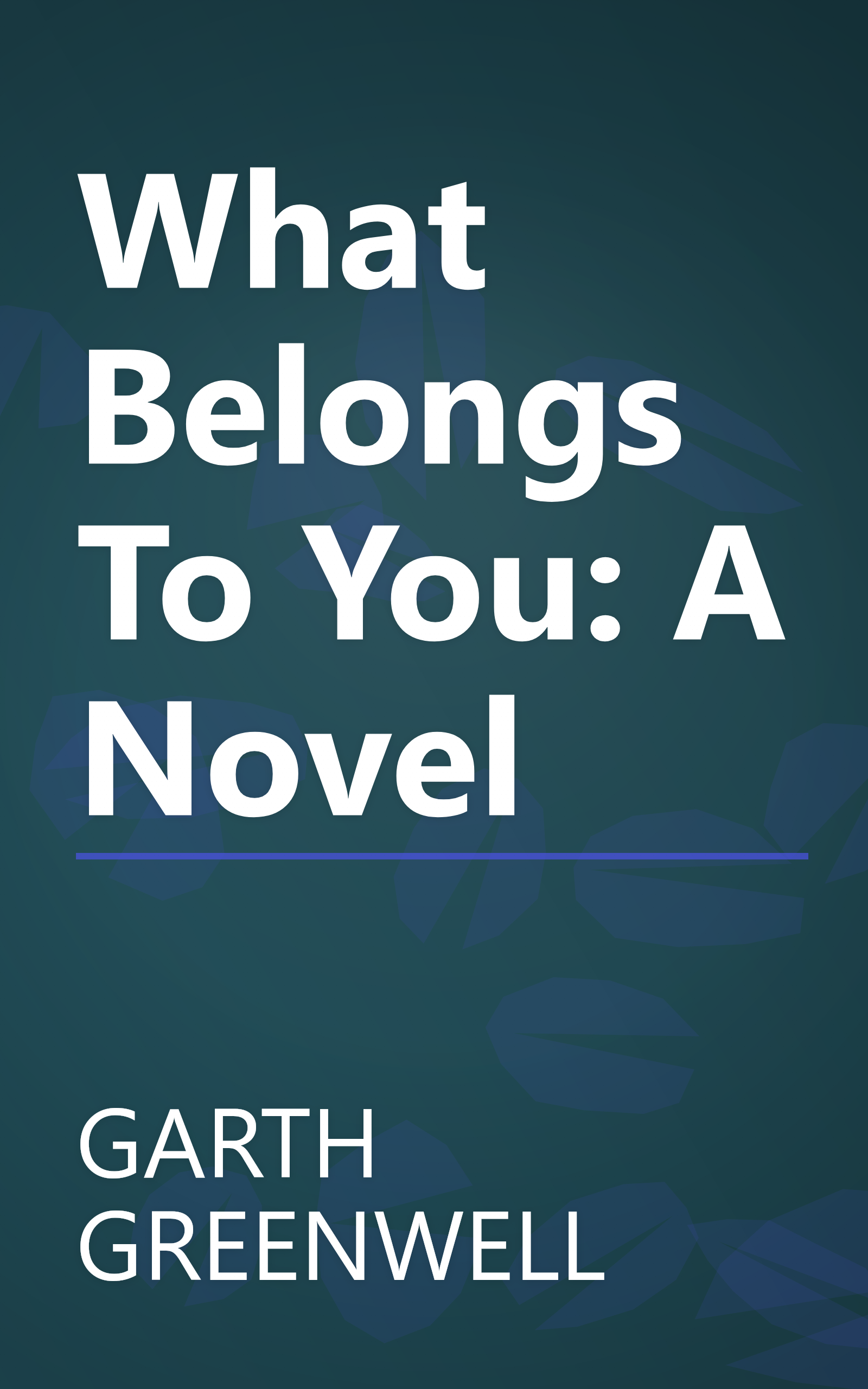 What Belongs To You: A Novel book cover