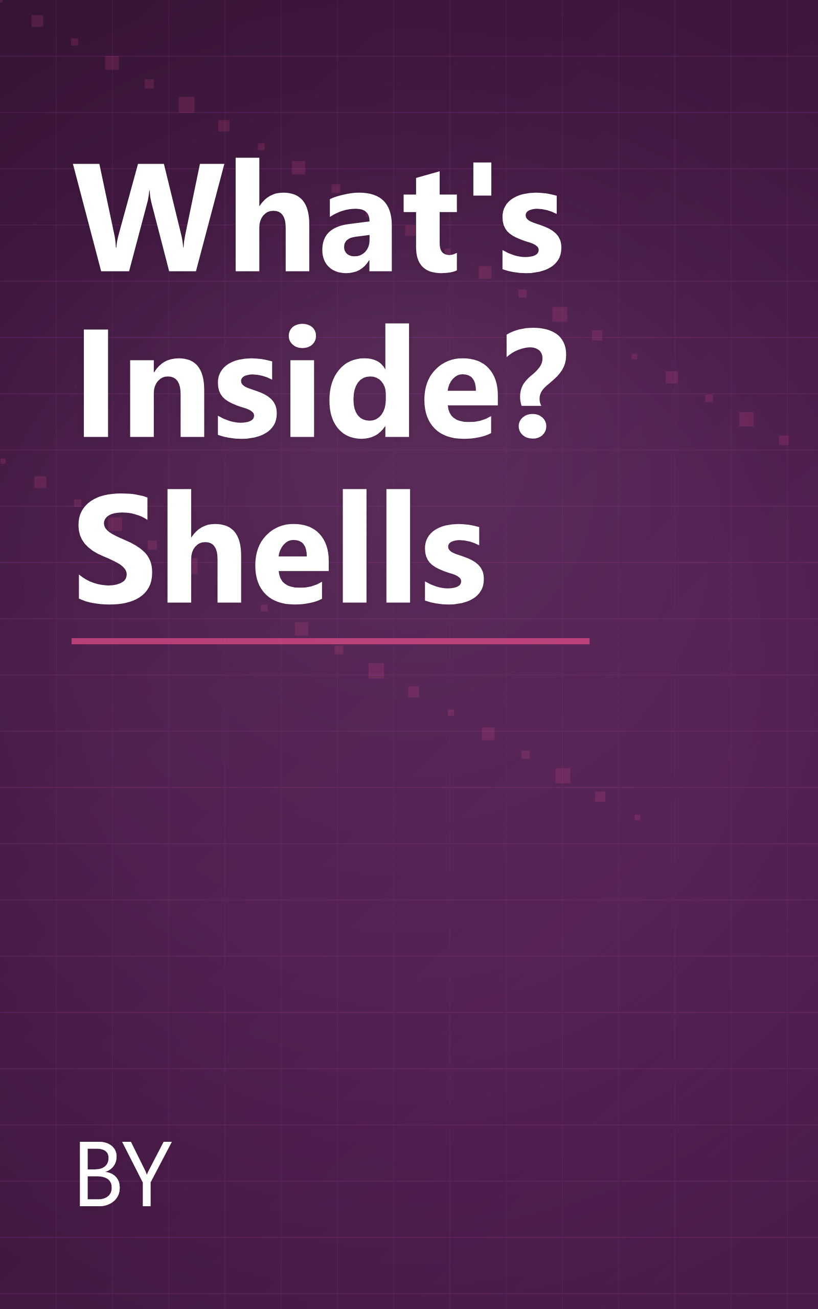 What's Inside? Shells book cover