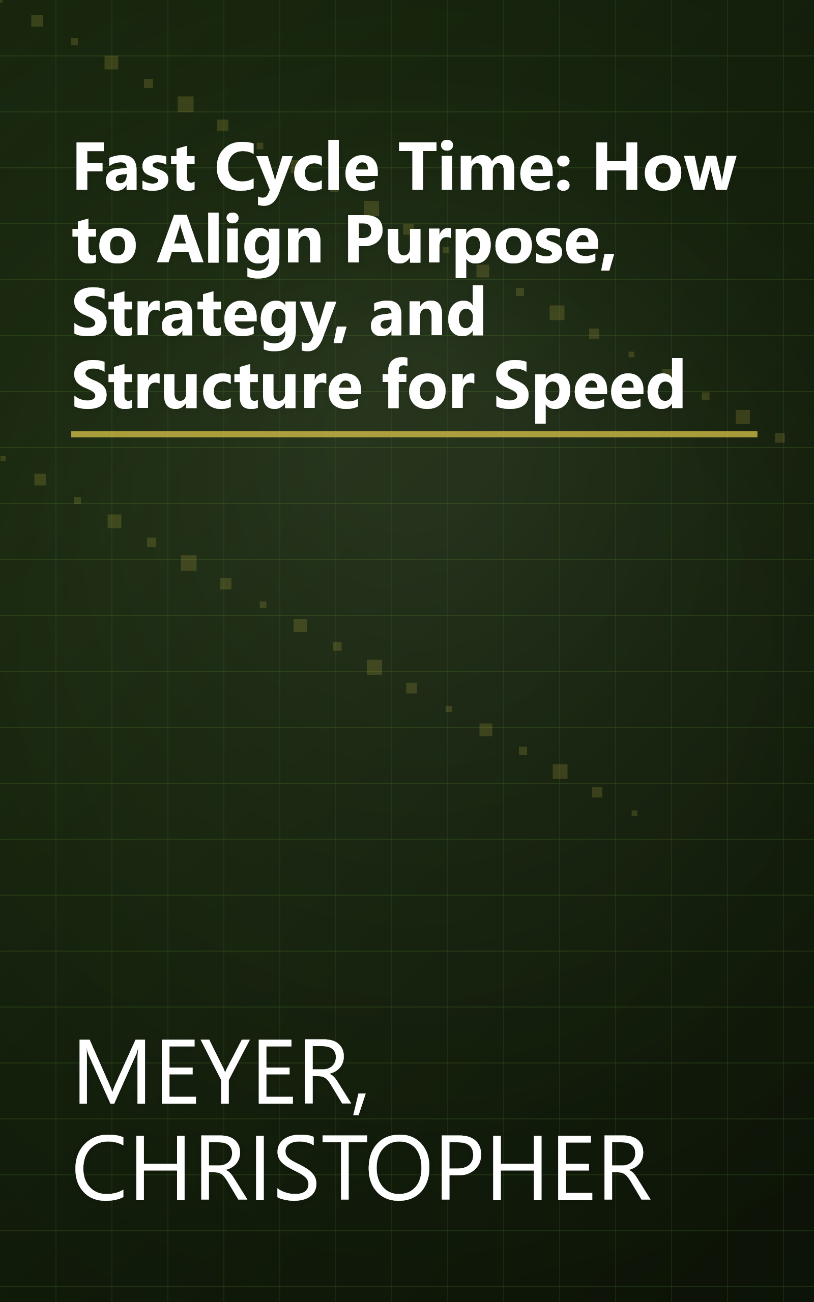 Fast Cycle Time: How to Align Purpose, Strategy, and Structure for Speed book cover