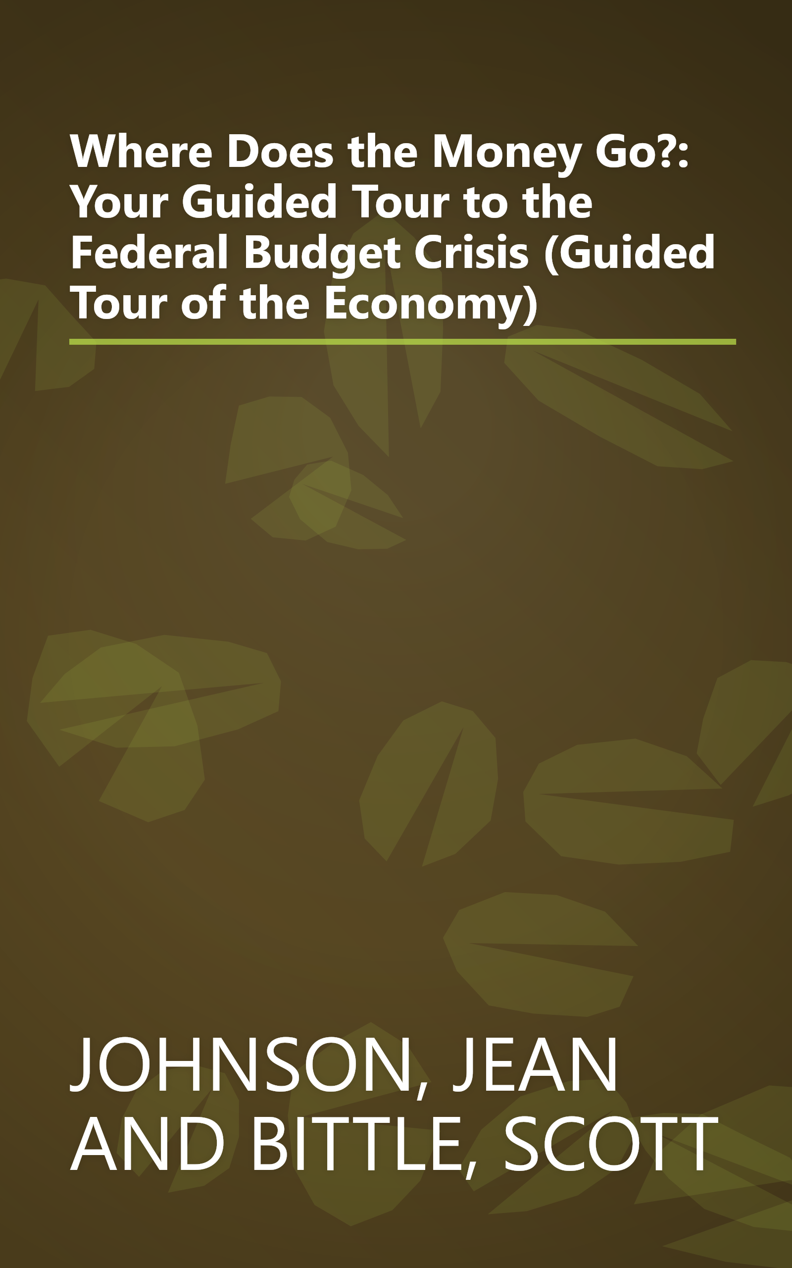 Where Does the Money Go?: Your Guided Tour to the Federal Budget Crisis (Guided Tour of the Economy) book cover