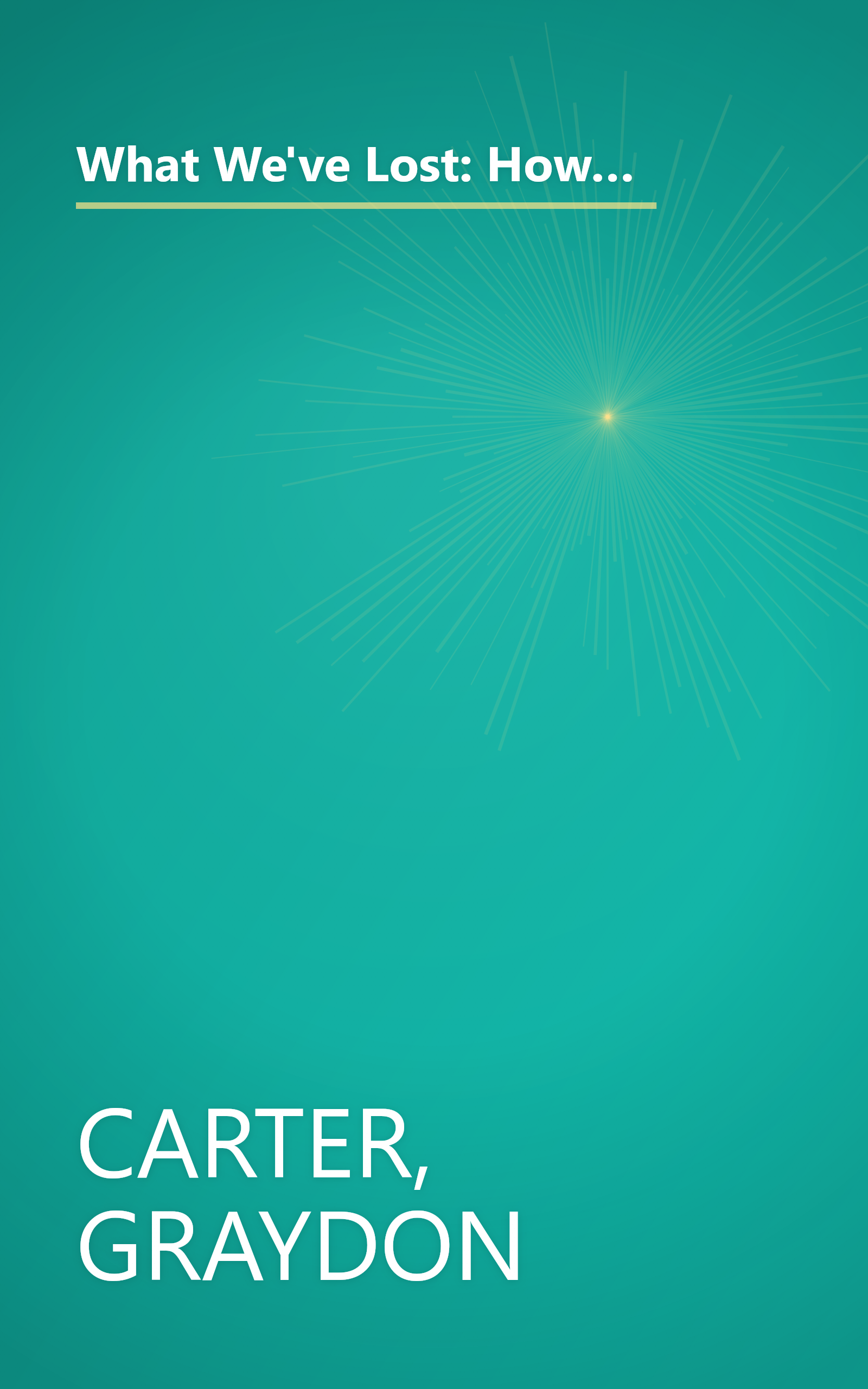 What We've Lost: How the Bush Administration Has Curtailed Our Freedoms, Mortgaged Our Economy, Ravaged Our Environment, and Damaged Our Standing in the World book cover