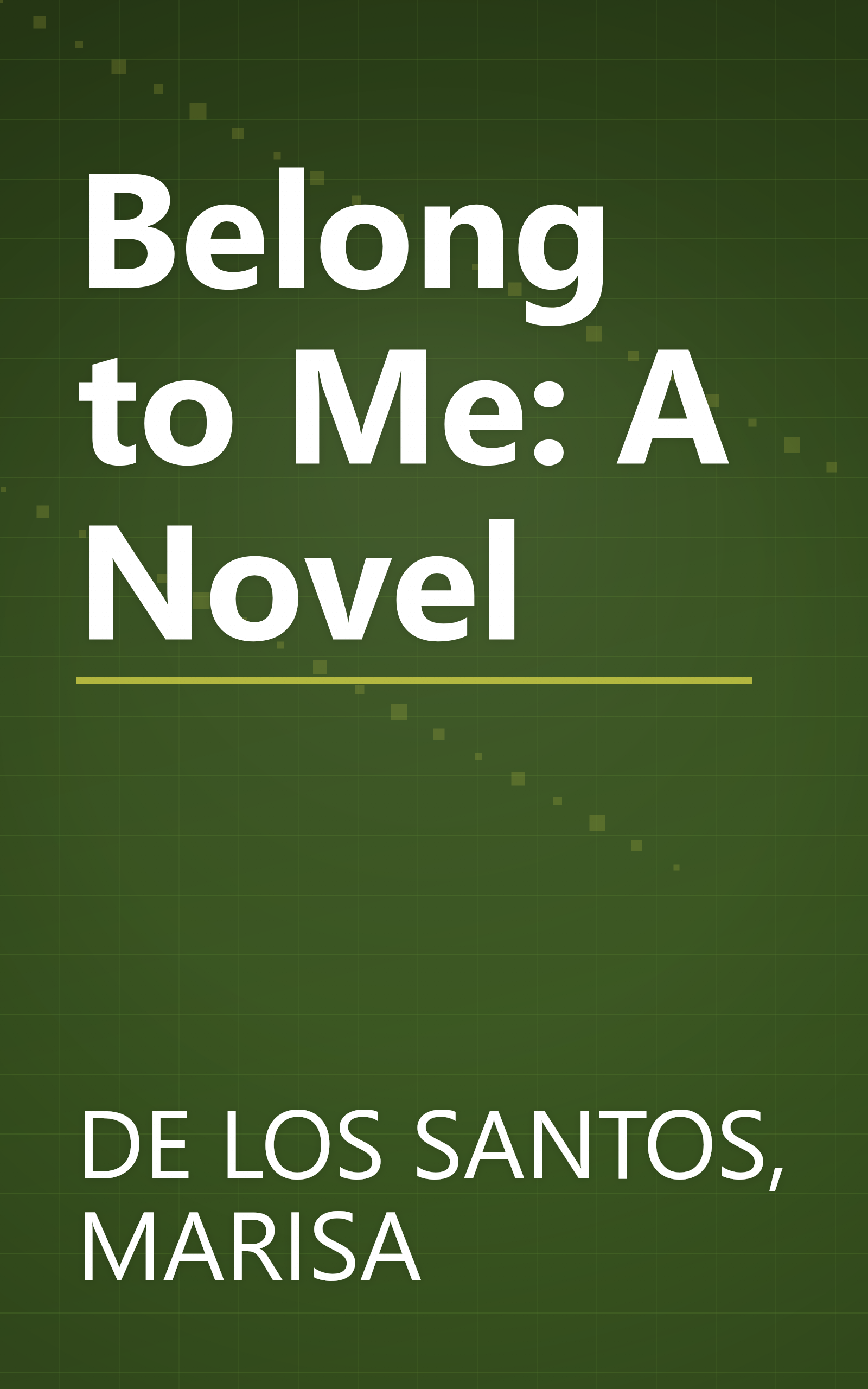 Belong to Me: A Novel book cover