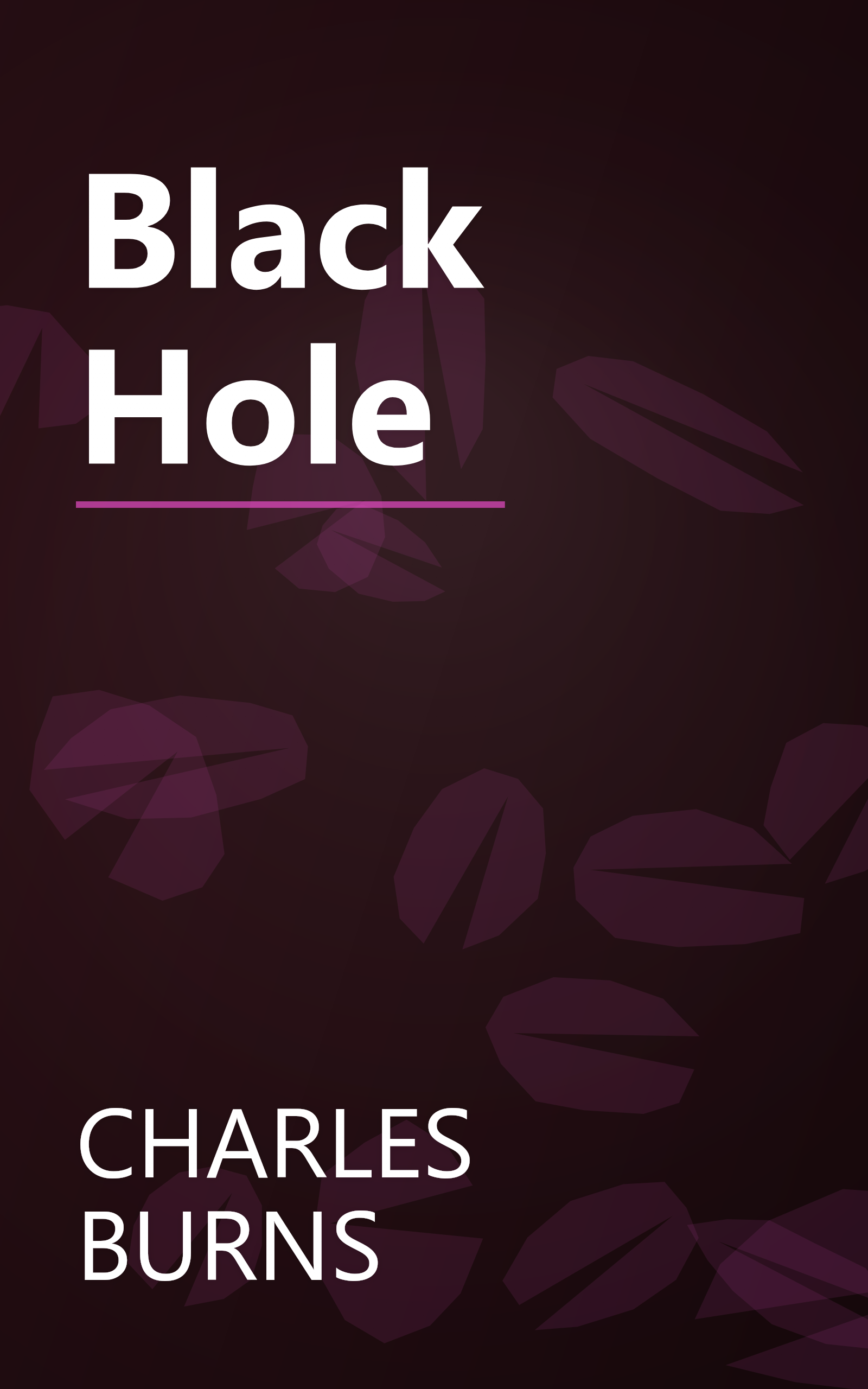 Black Hole book cover