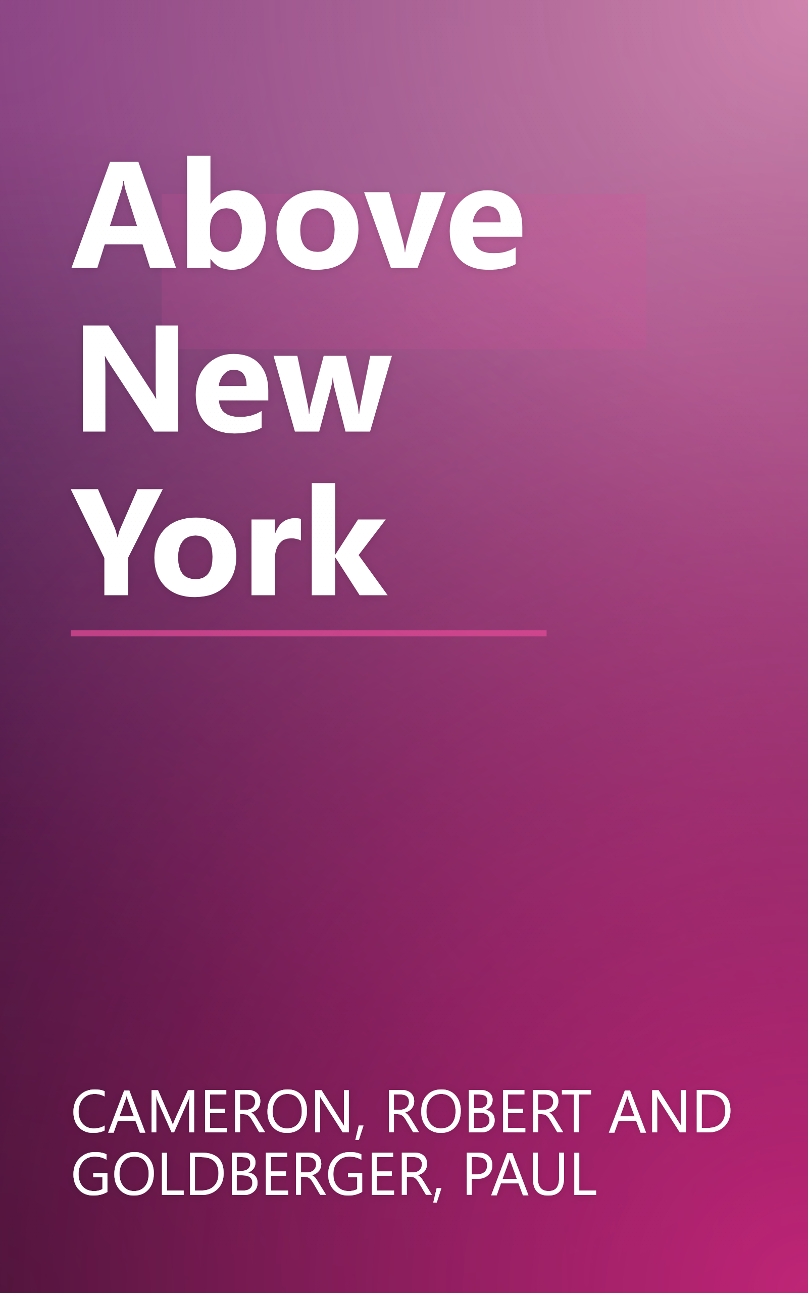 Above New York book cover