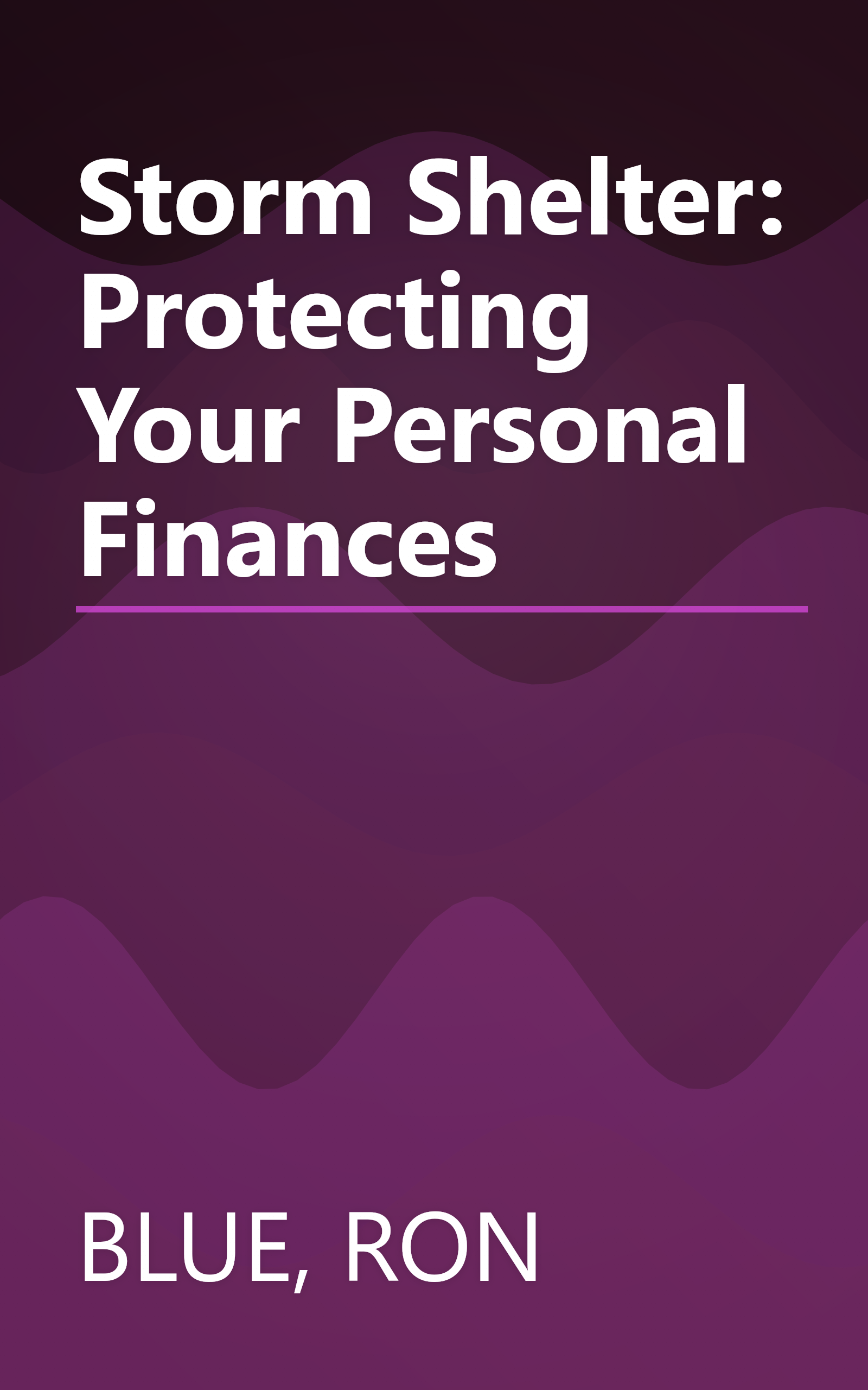 Storm Shelter: Protecting Your Personal Finances book cover