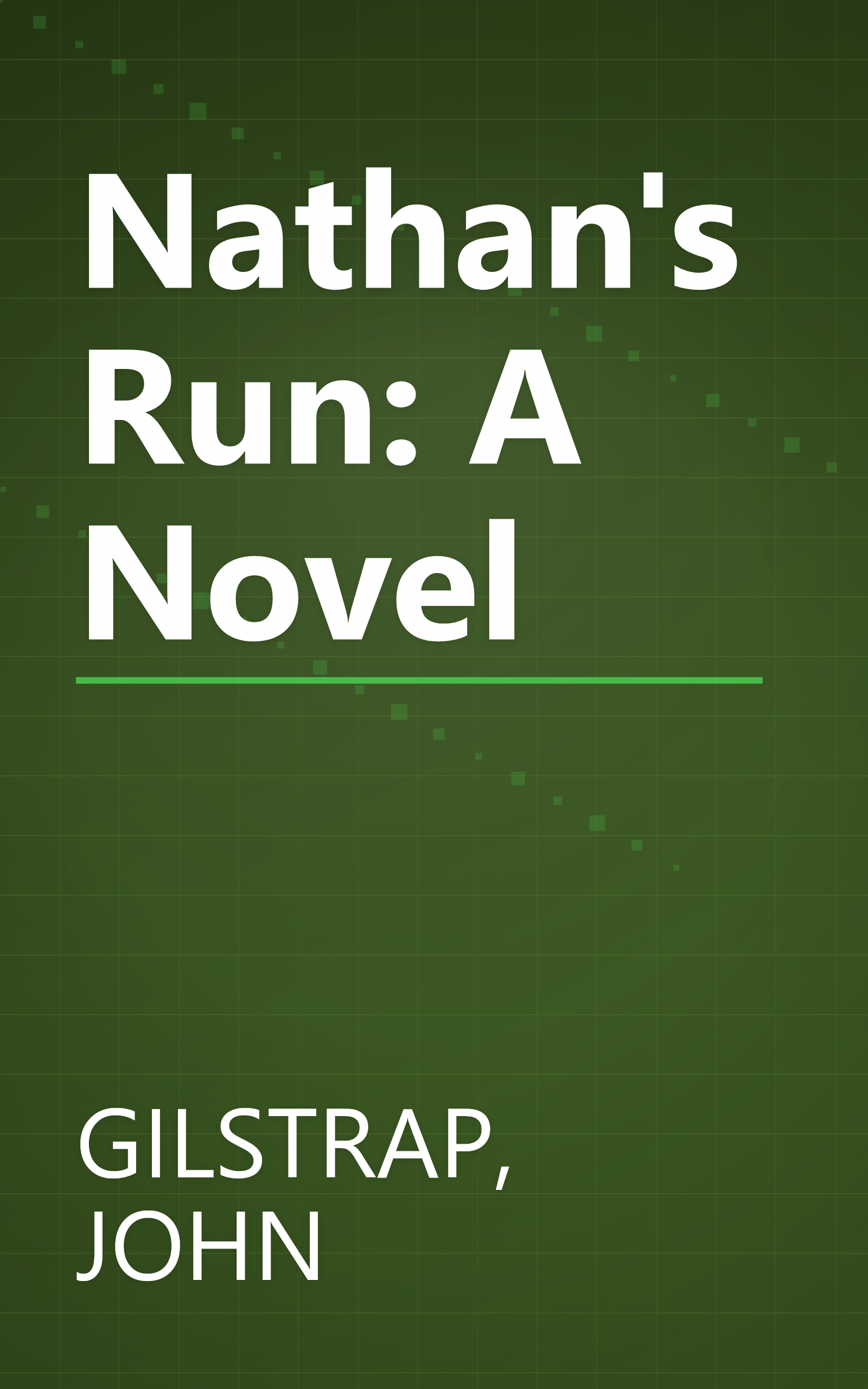 Nathan's Run: A Novel book cover