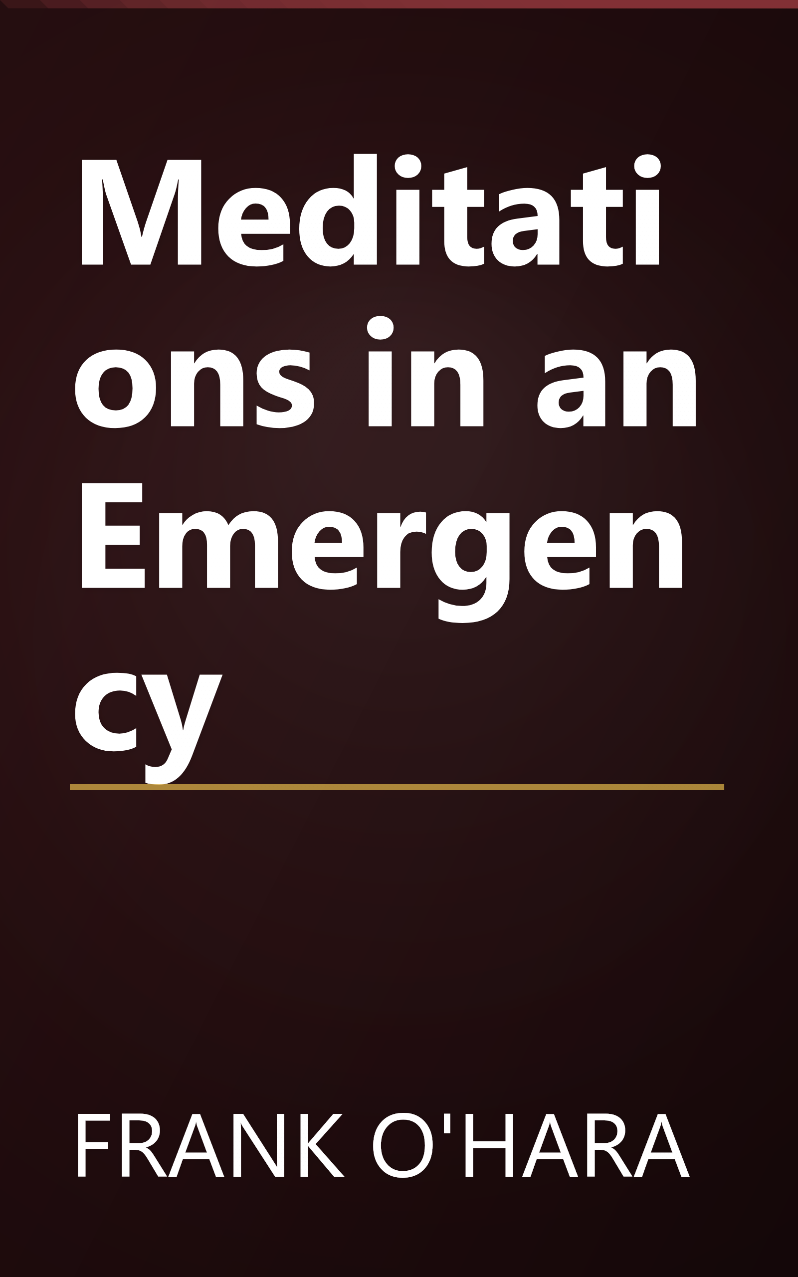 Meditations in an Emergency book cover