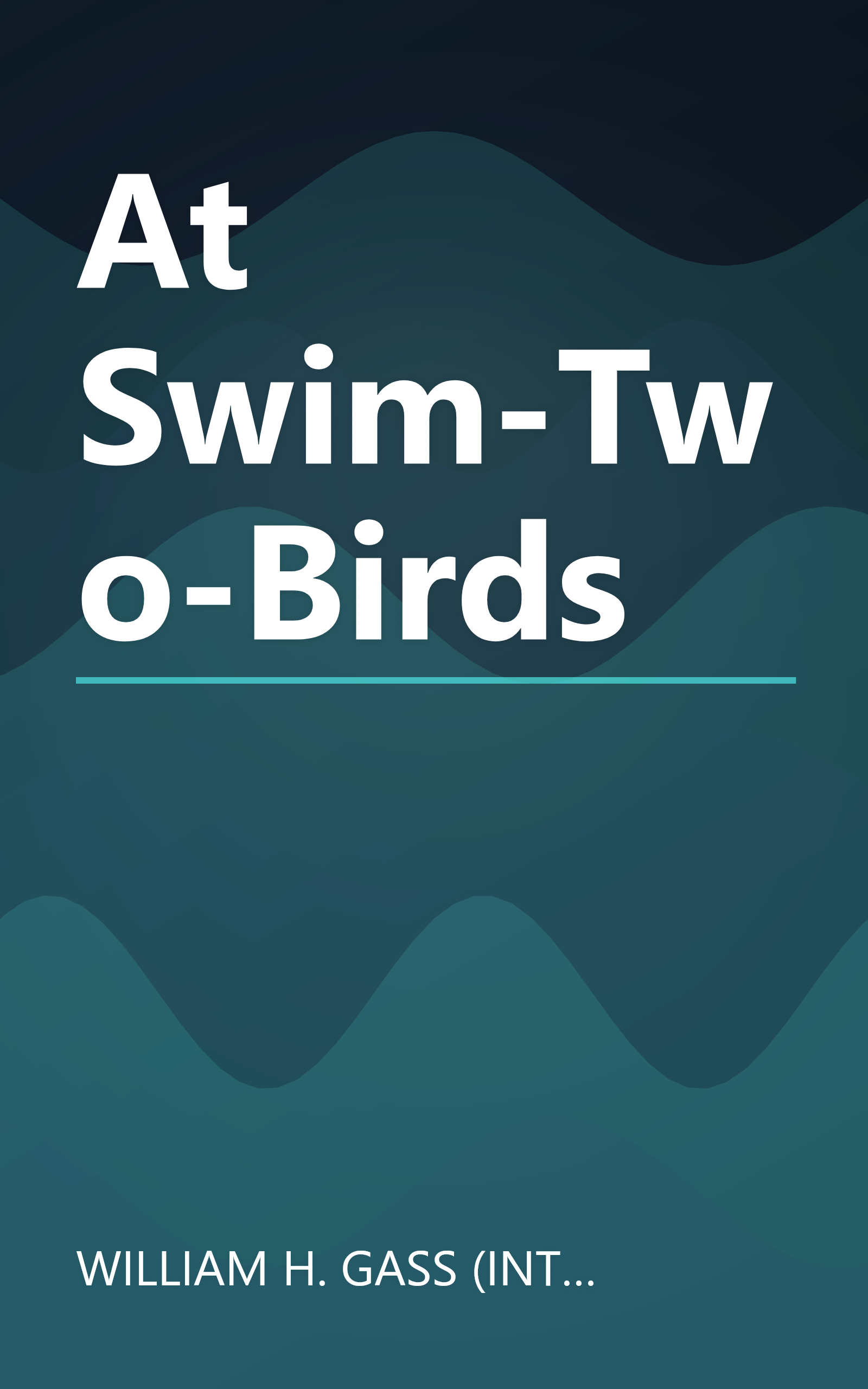 At Swim-Two-Birds book cover