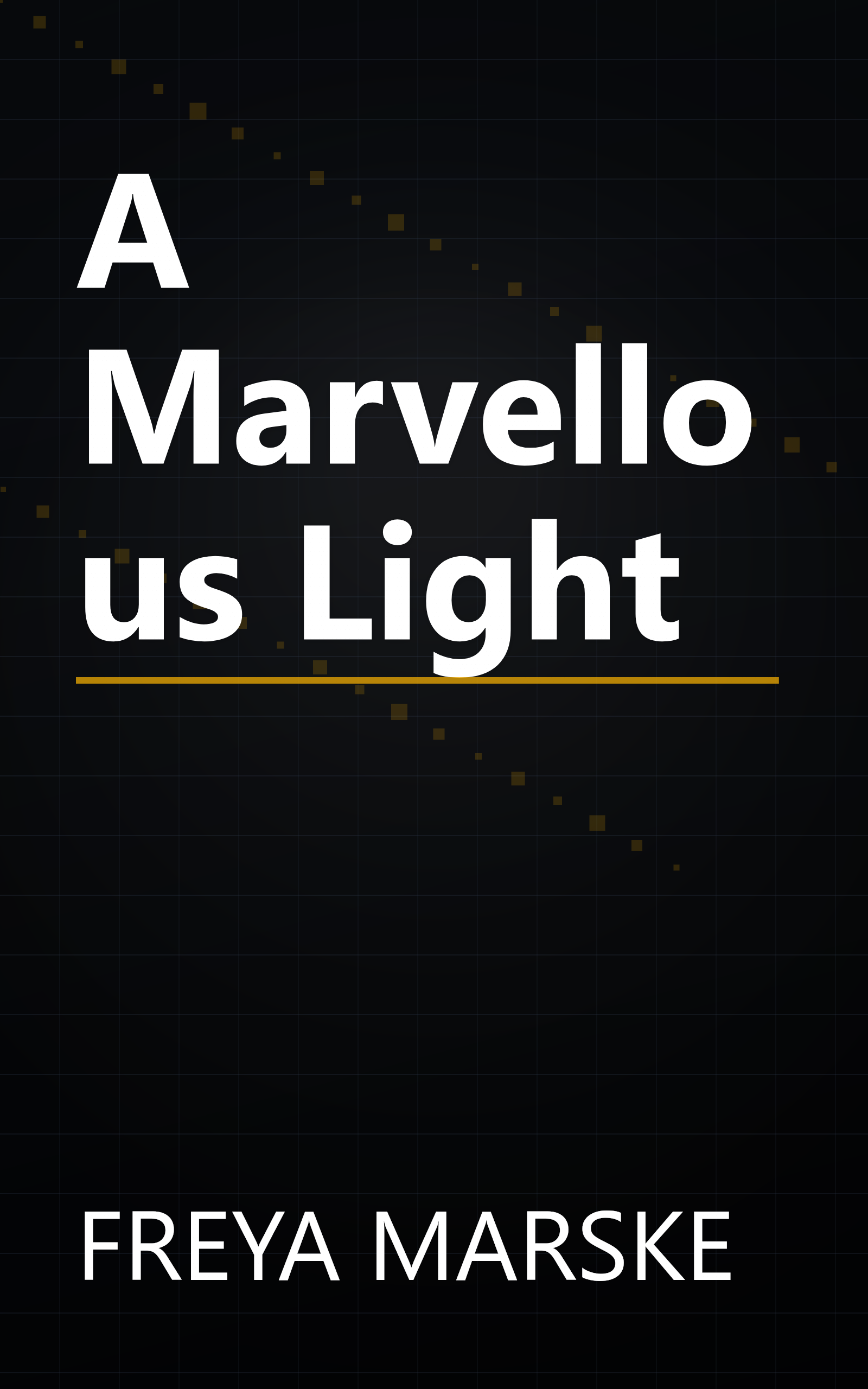 A Marvellous Light book cover