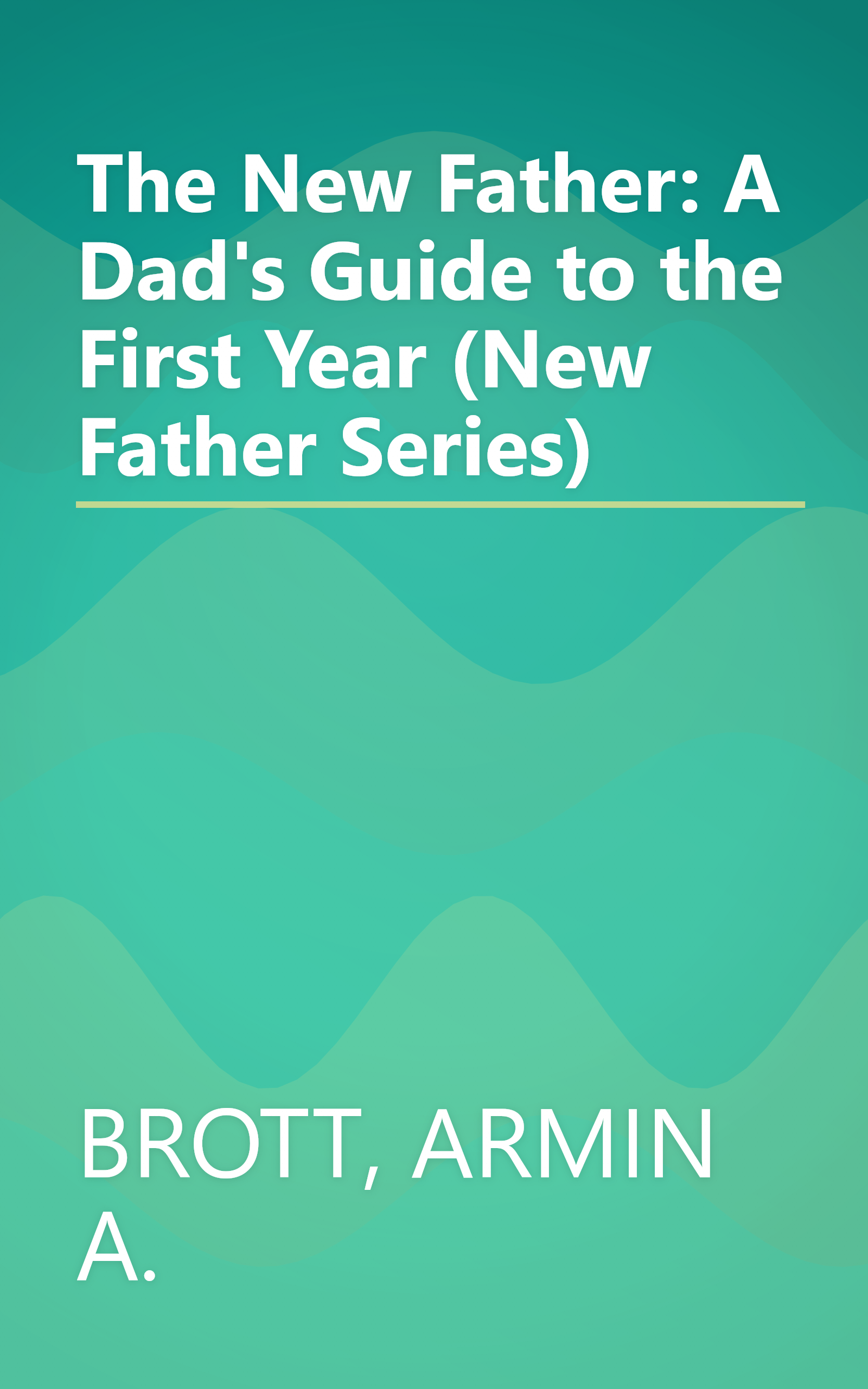 The New Father: A Dad's Guide to the First Year (New Father Series) book cover