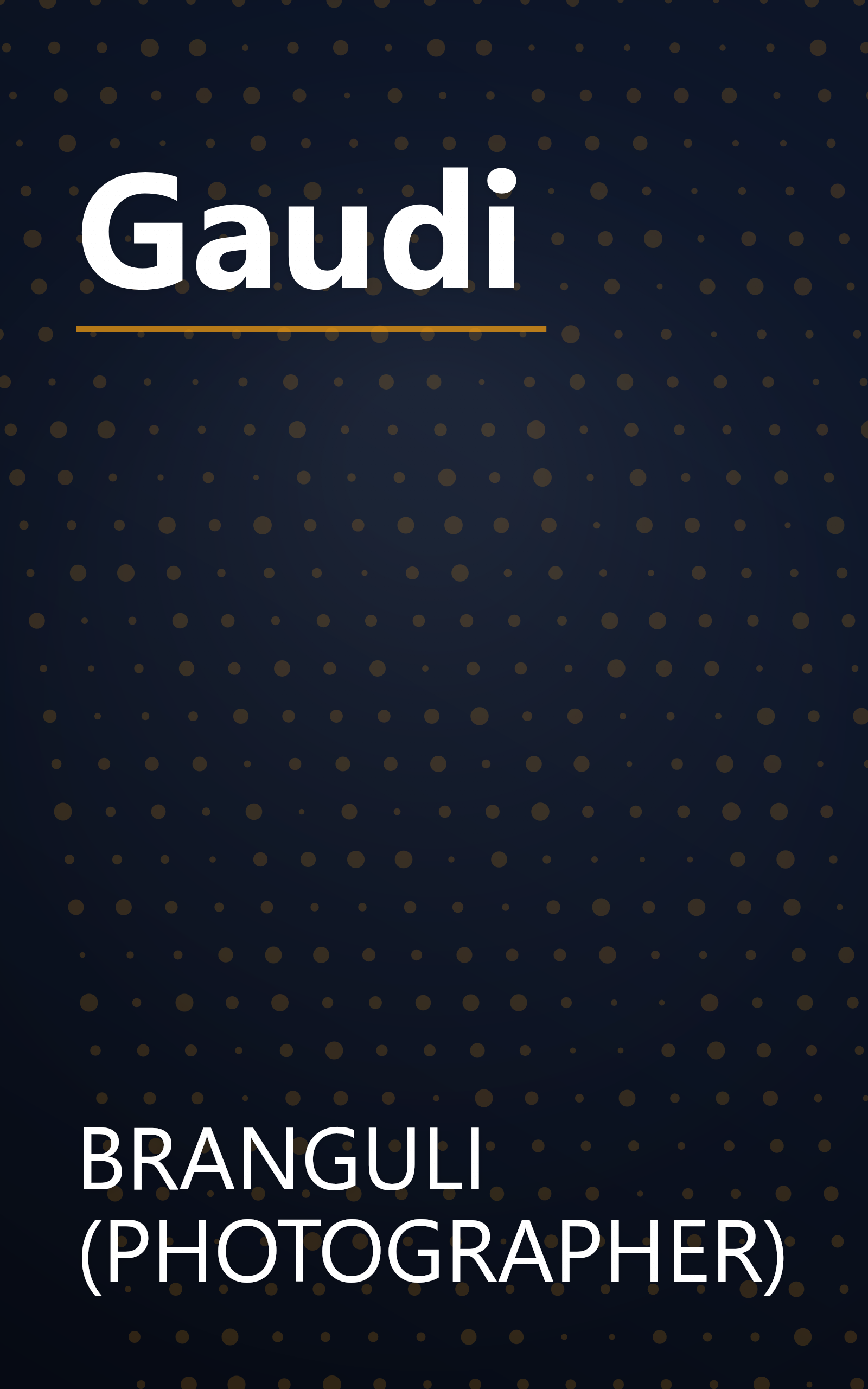 Gaudi book cover