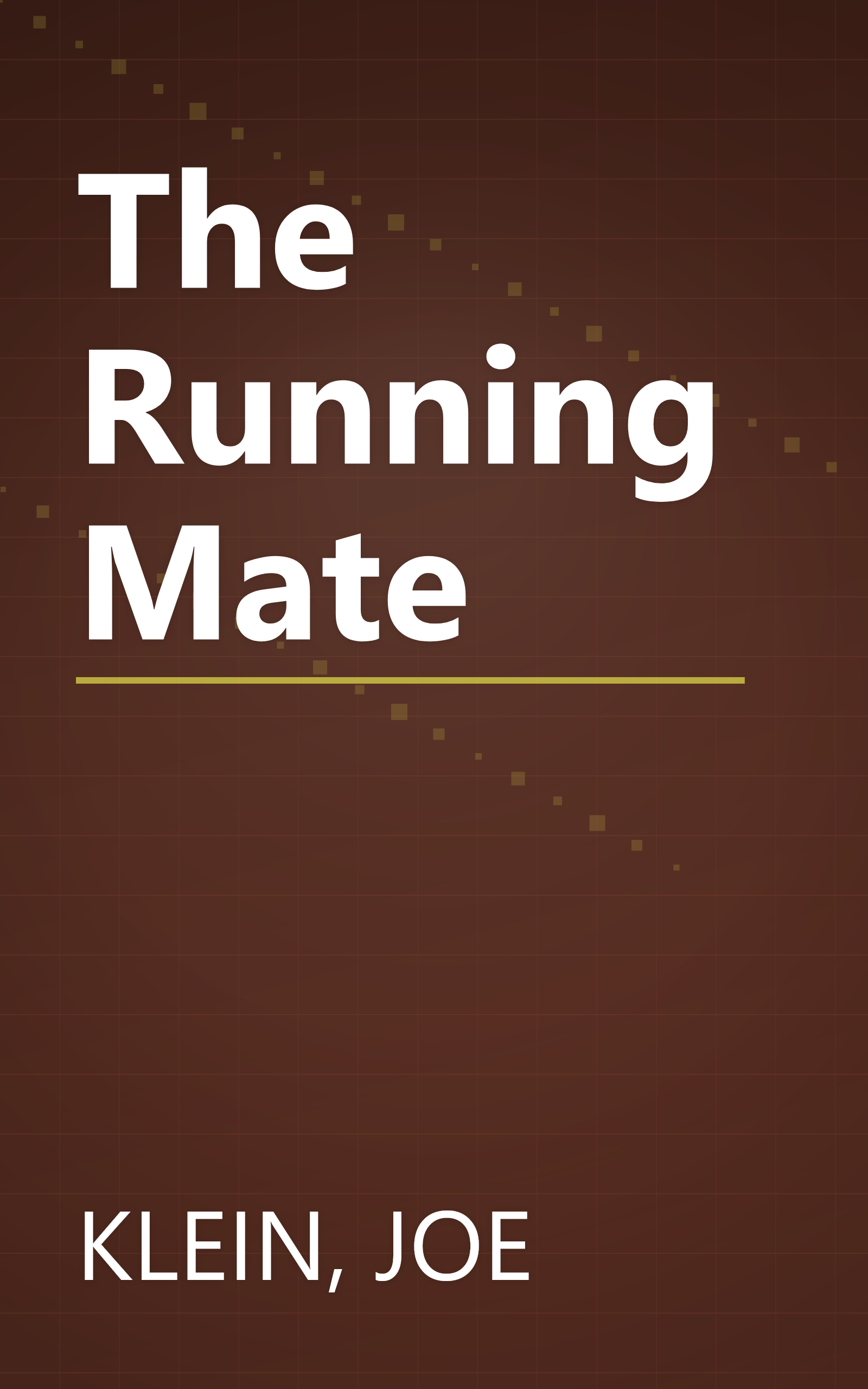 The Running Mate book cover