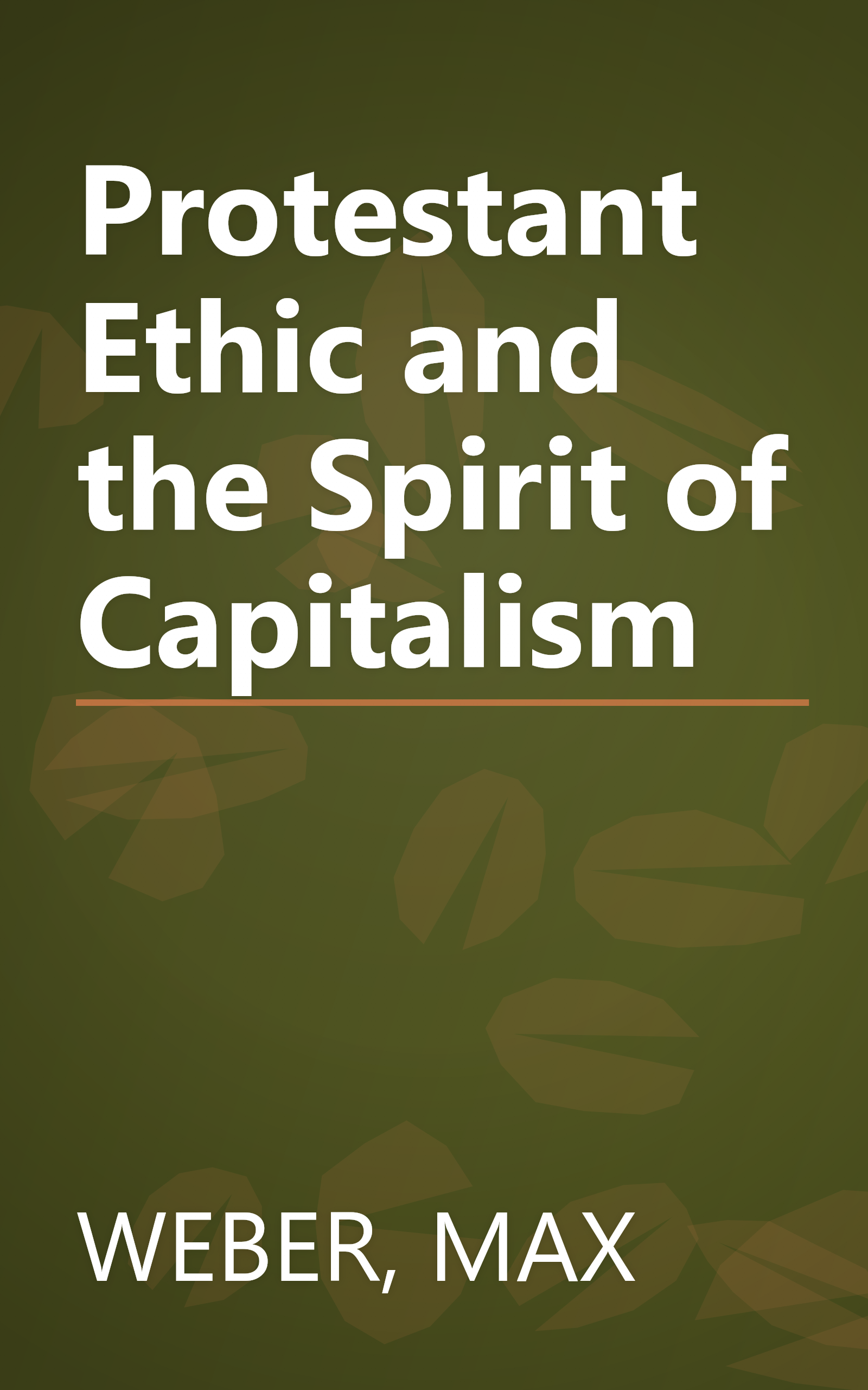 Protestant Ethic and the Spirit of Capitalism book cover