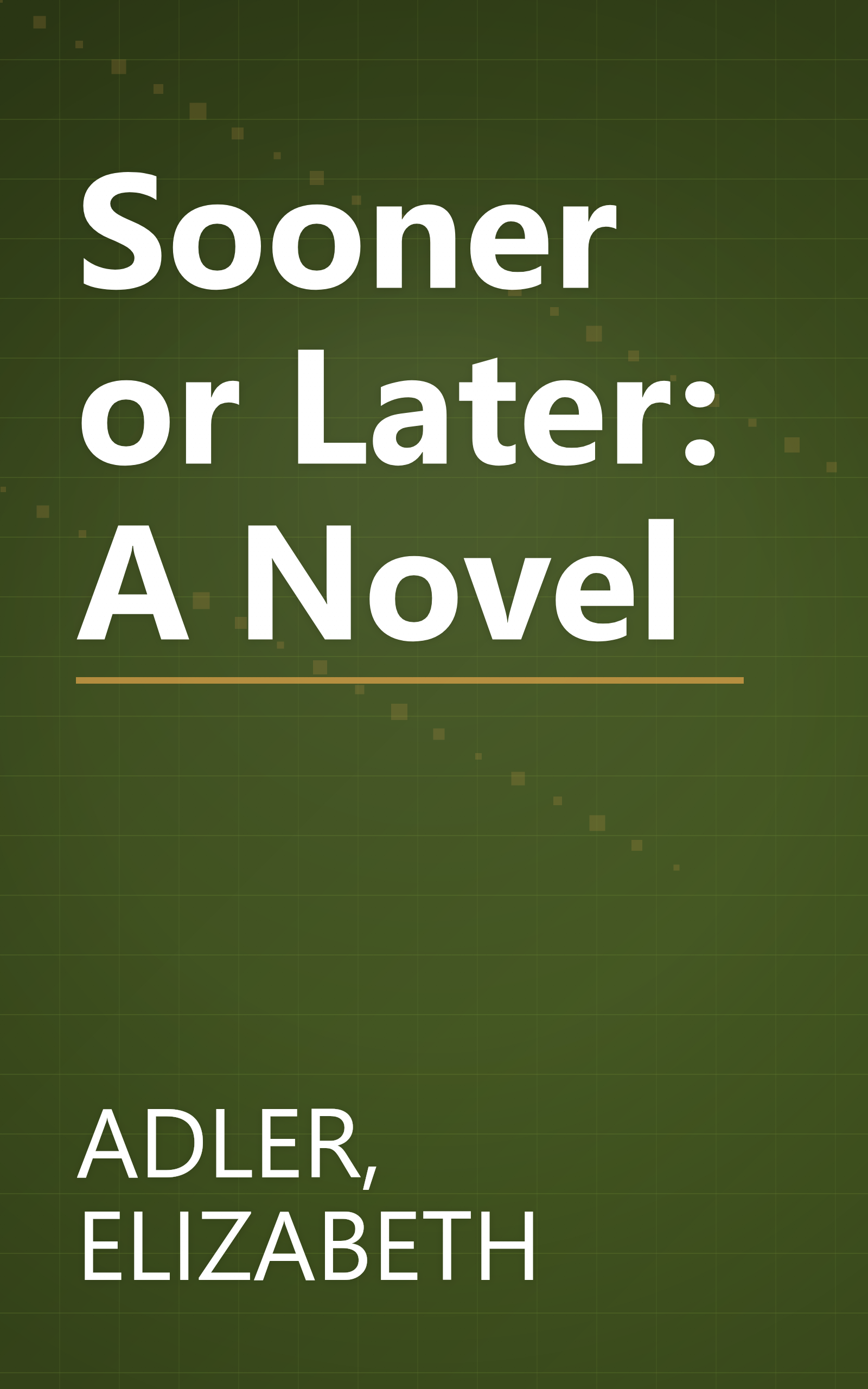 Sooner or Later: A Novel book cover