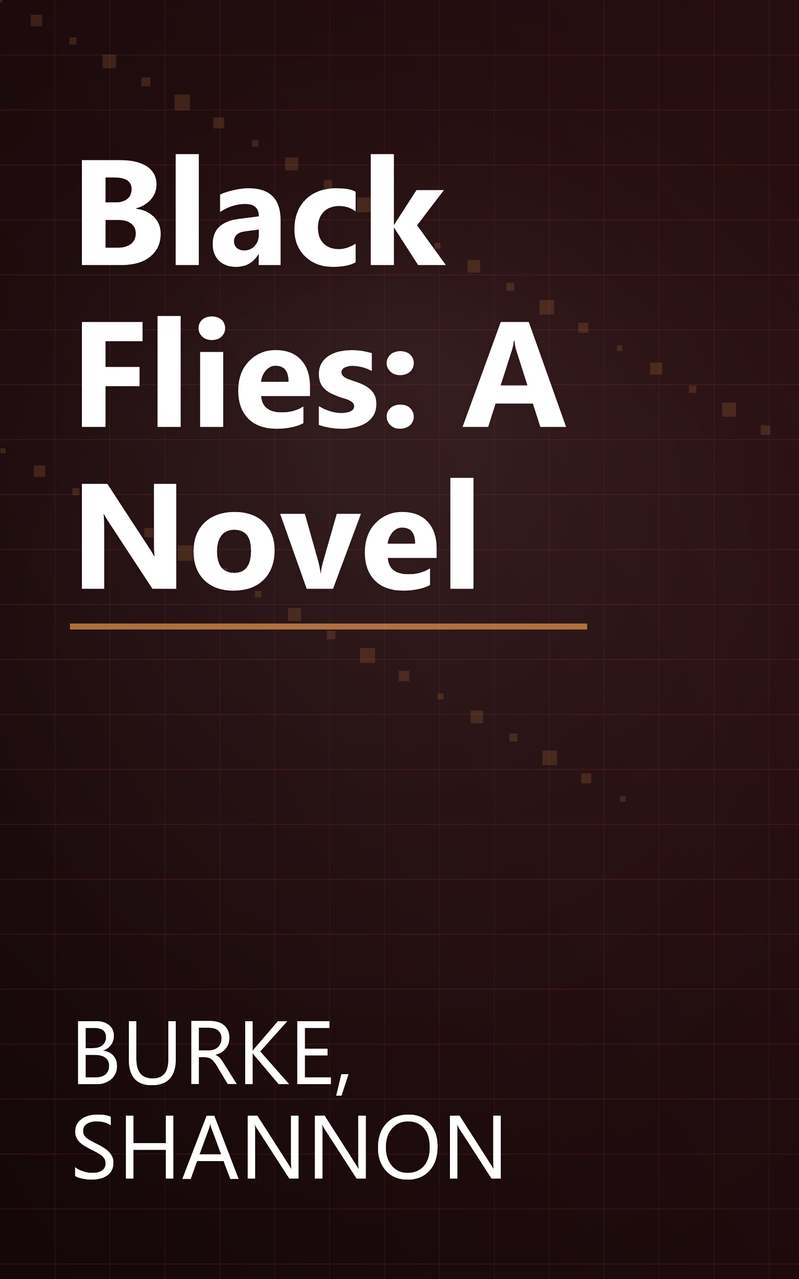 Black Flies: A Novel book cover