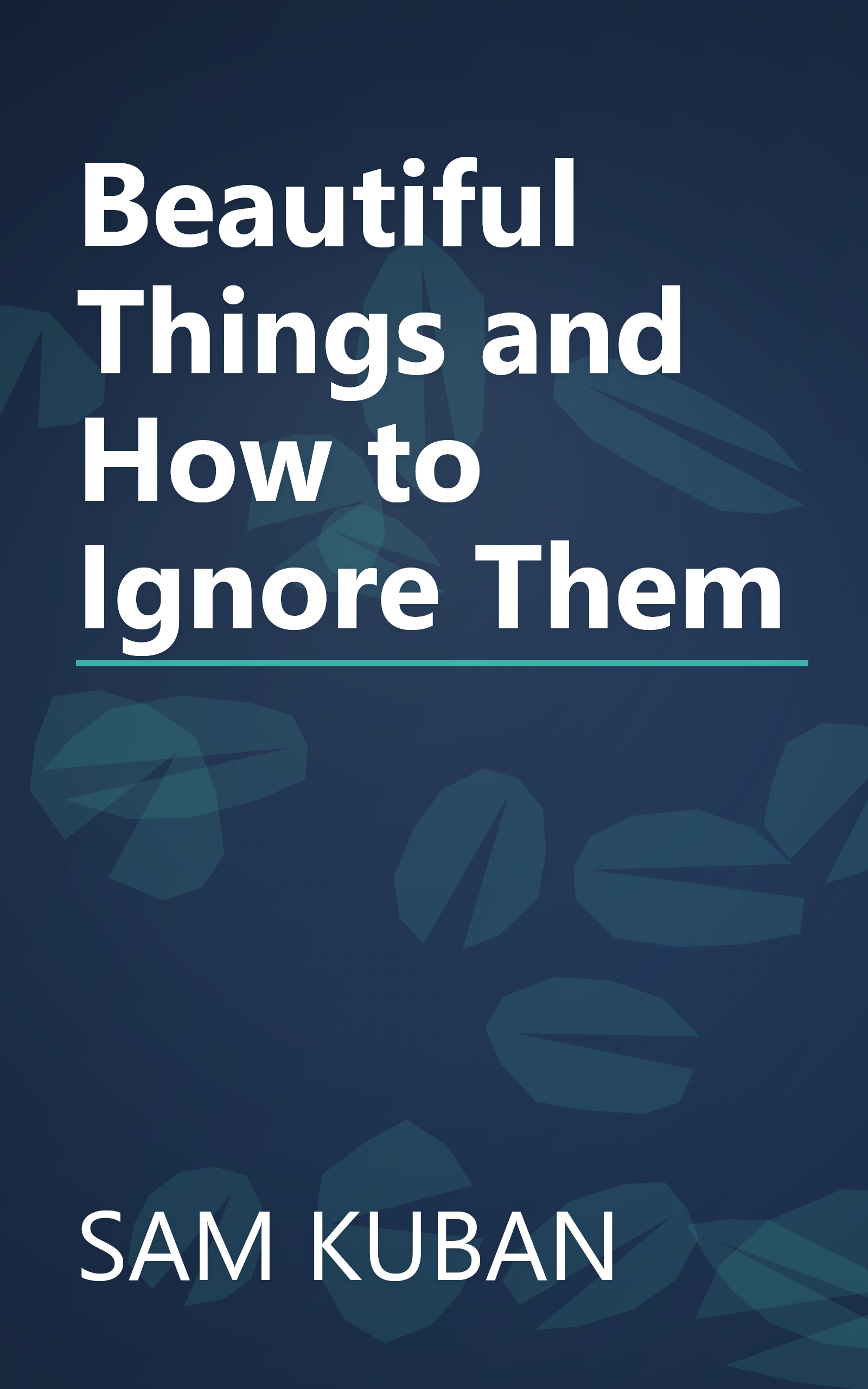 Beautiful Things and How to Ignore Them book cover