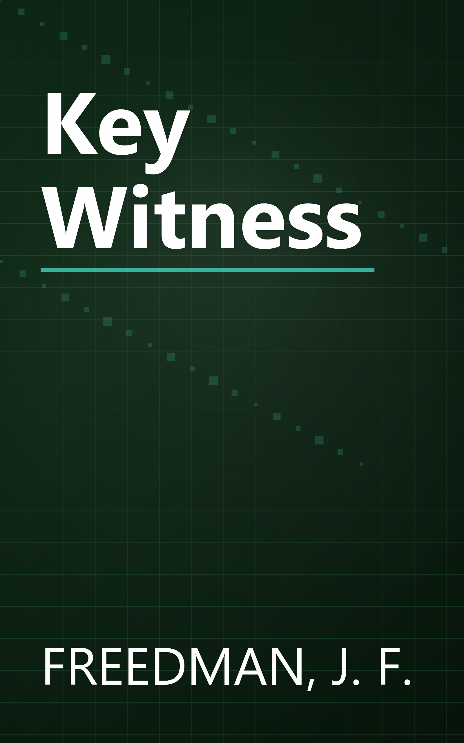 Key Witness book cover