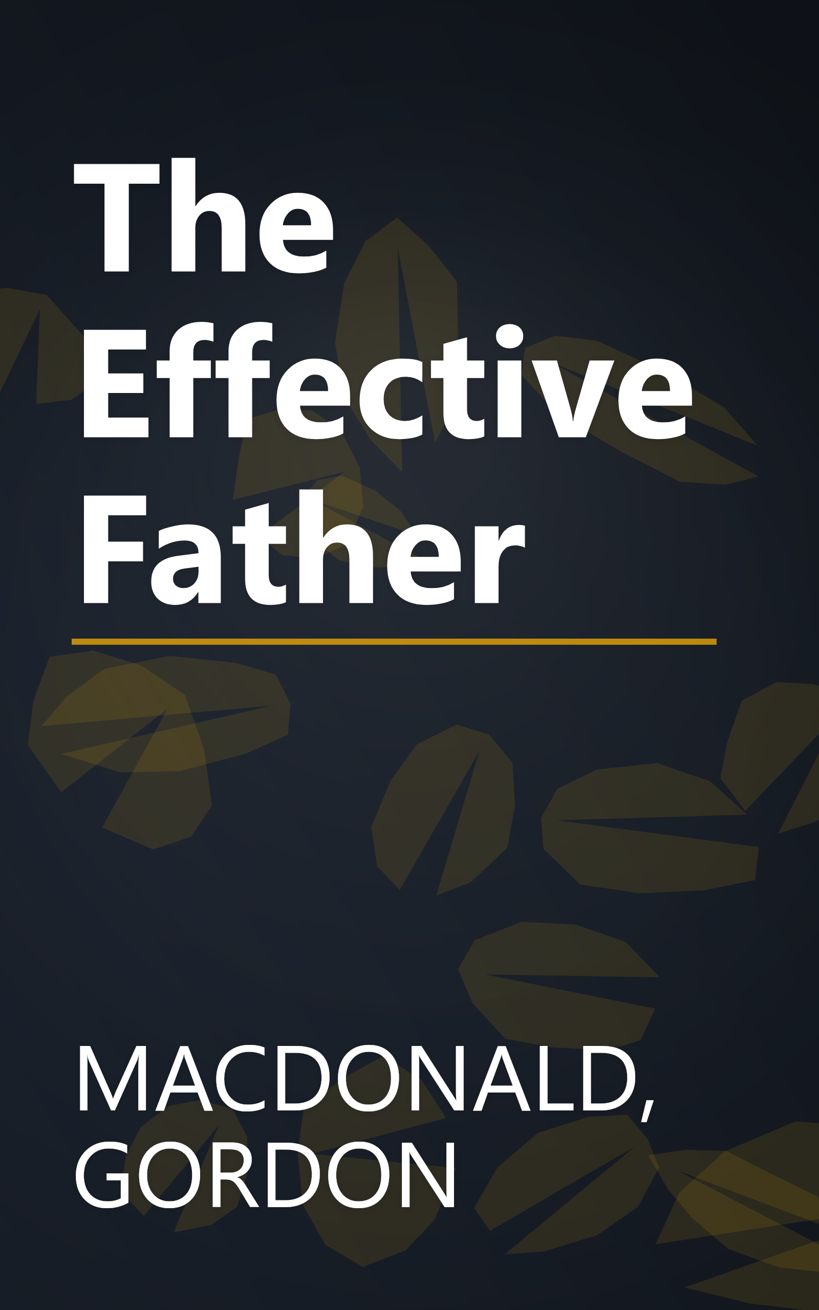 The Effective Father book cover