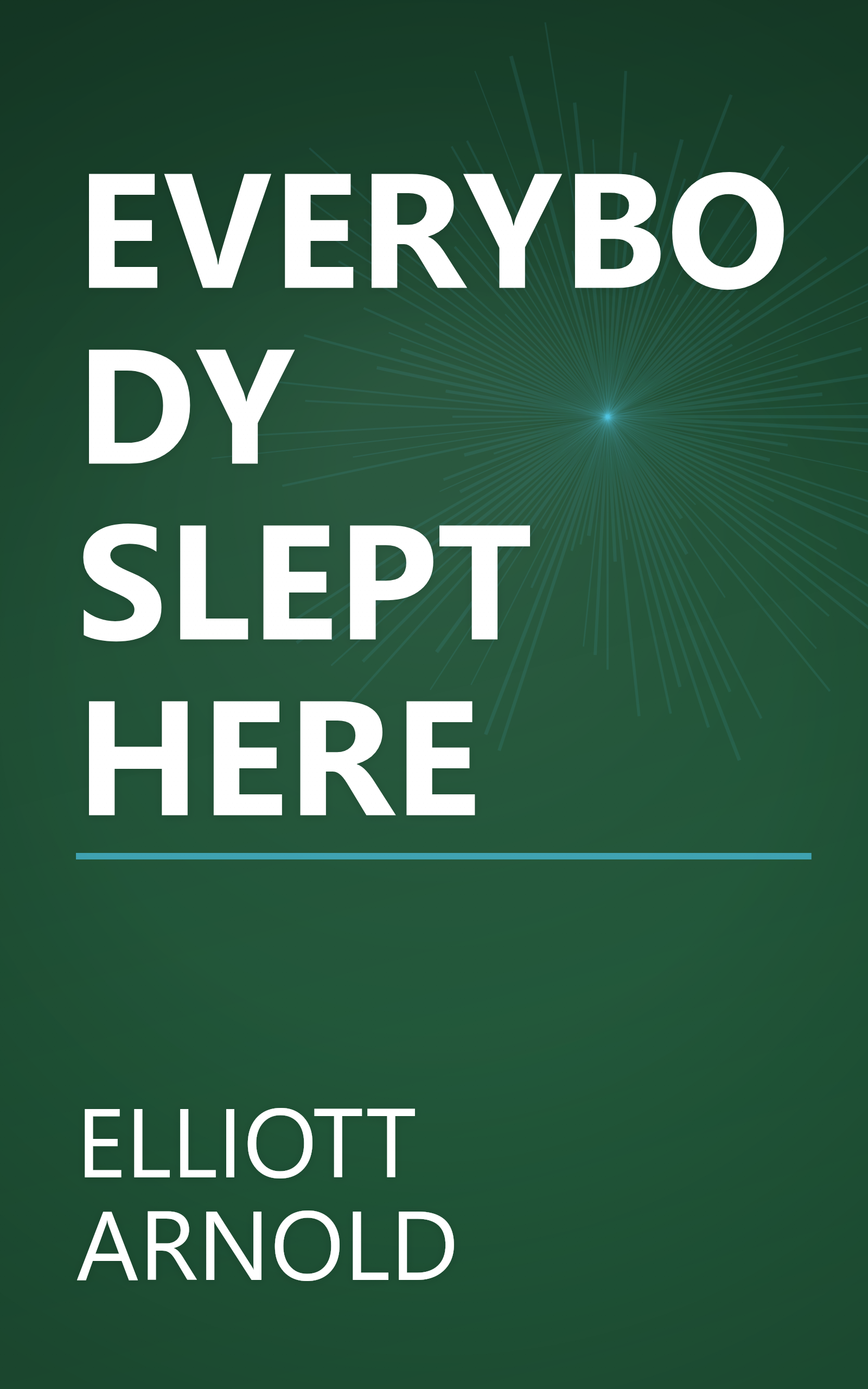 EVERYBODY SLEPT HERE book cover